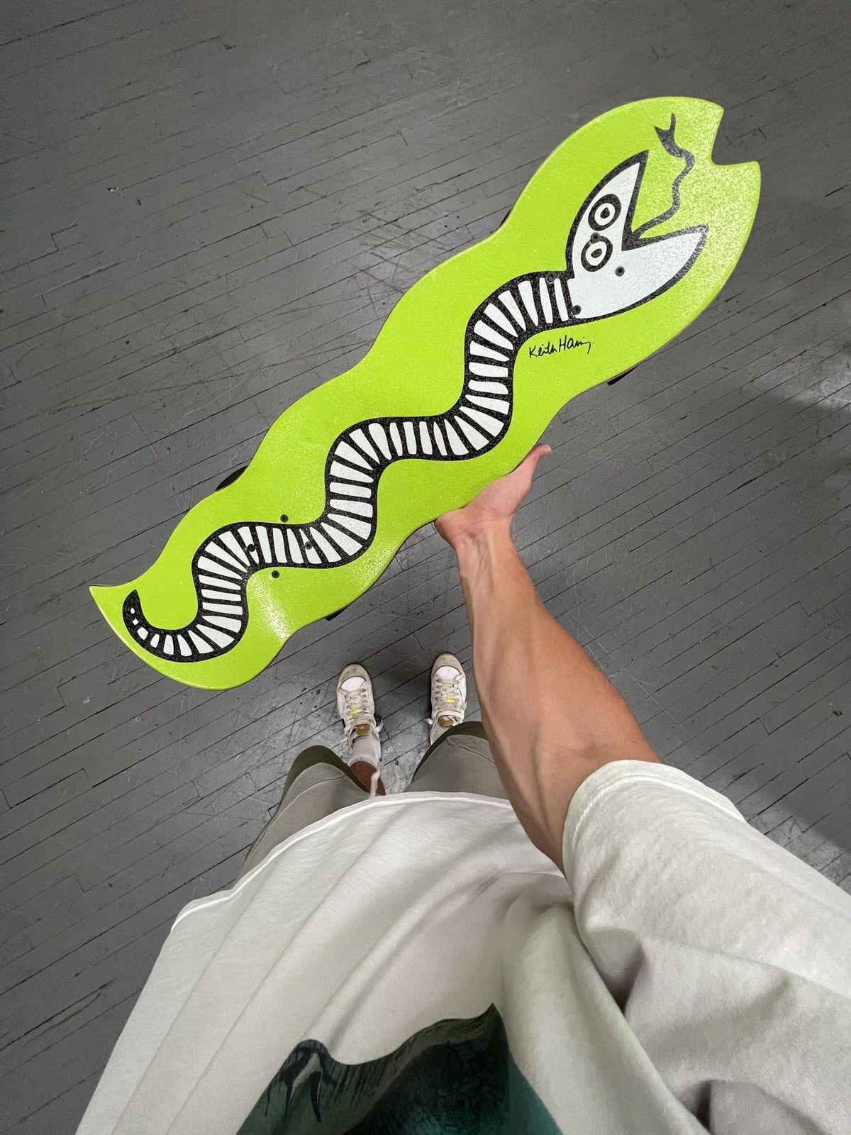 Alien Workshop × Keith Haring Keith Haring Alien Workshop Snake ...