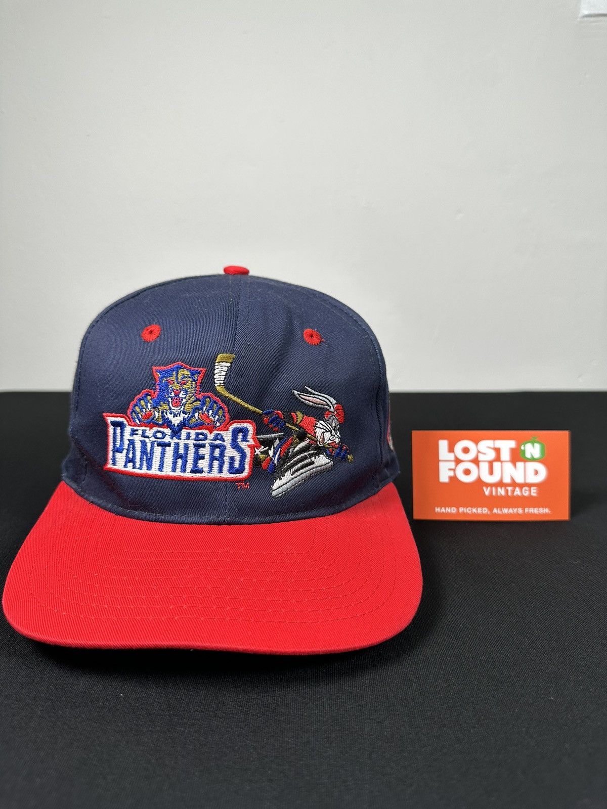 NHL × Vintage × Warner Bros 1993 Vintage NHL Florida Panthers Looney ...