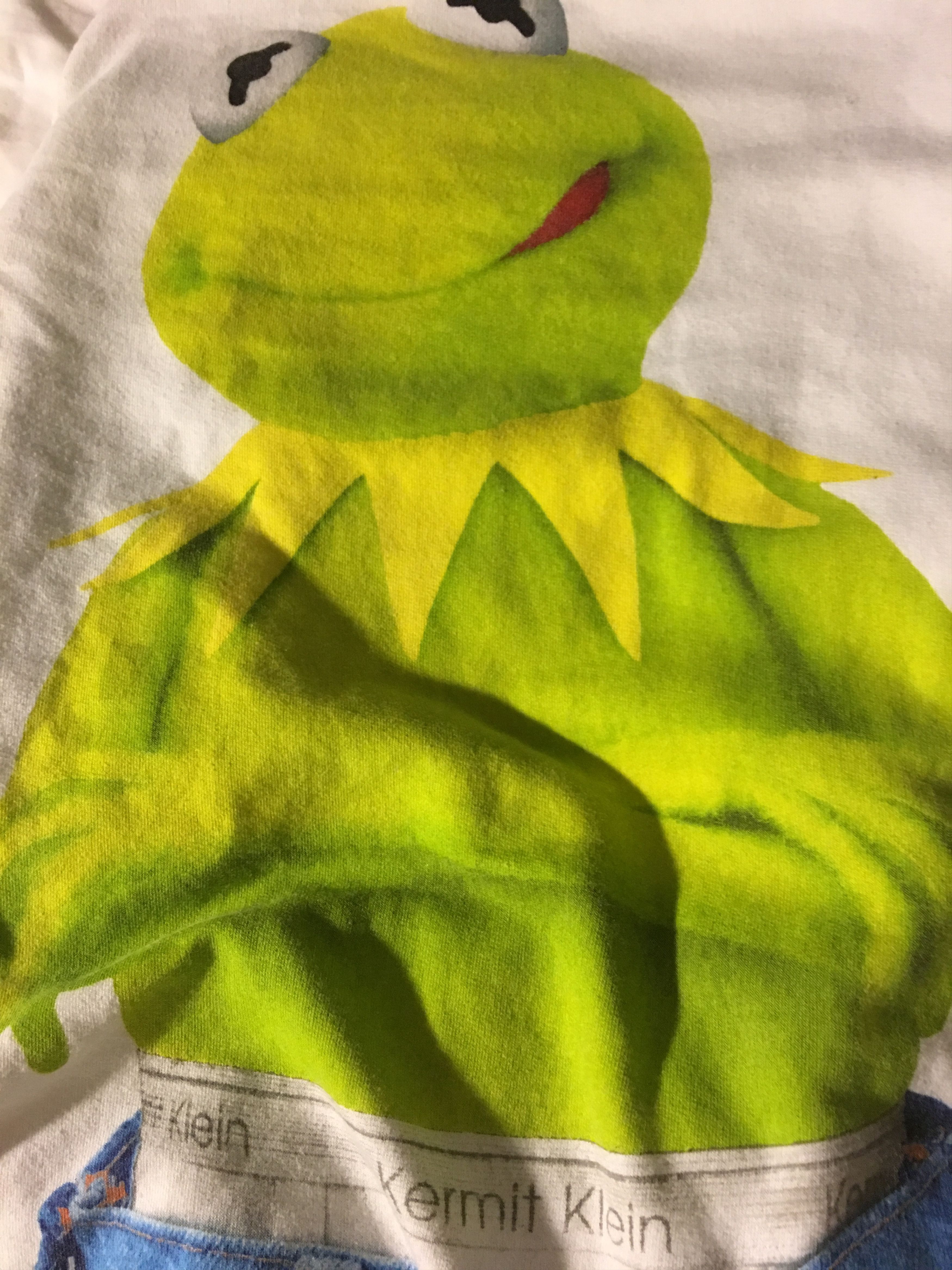 H&M Vintage Calvin Klein Kermit the Frog | Grailed