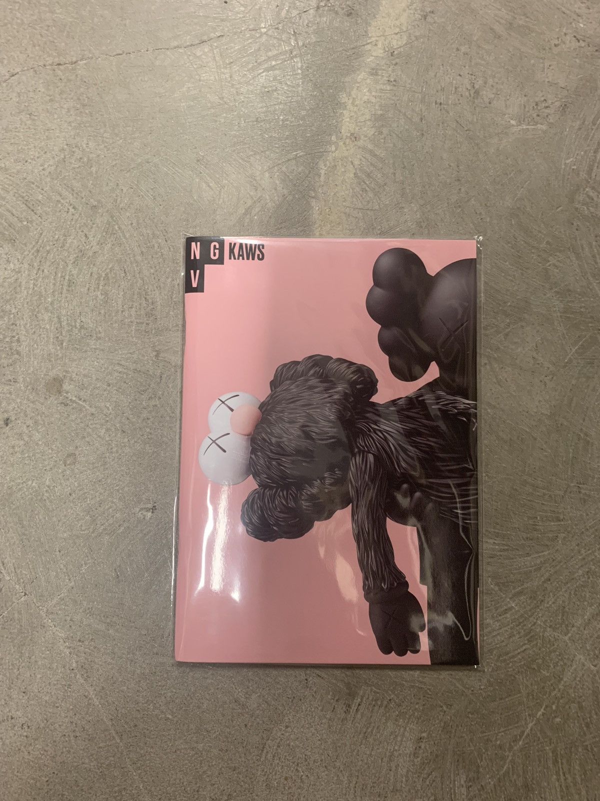 Kaws Kaws X NGV Notebook | Grailed