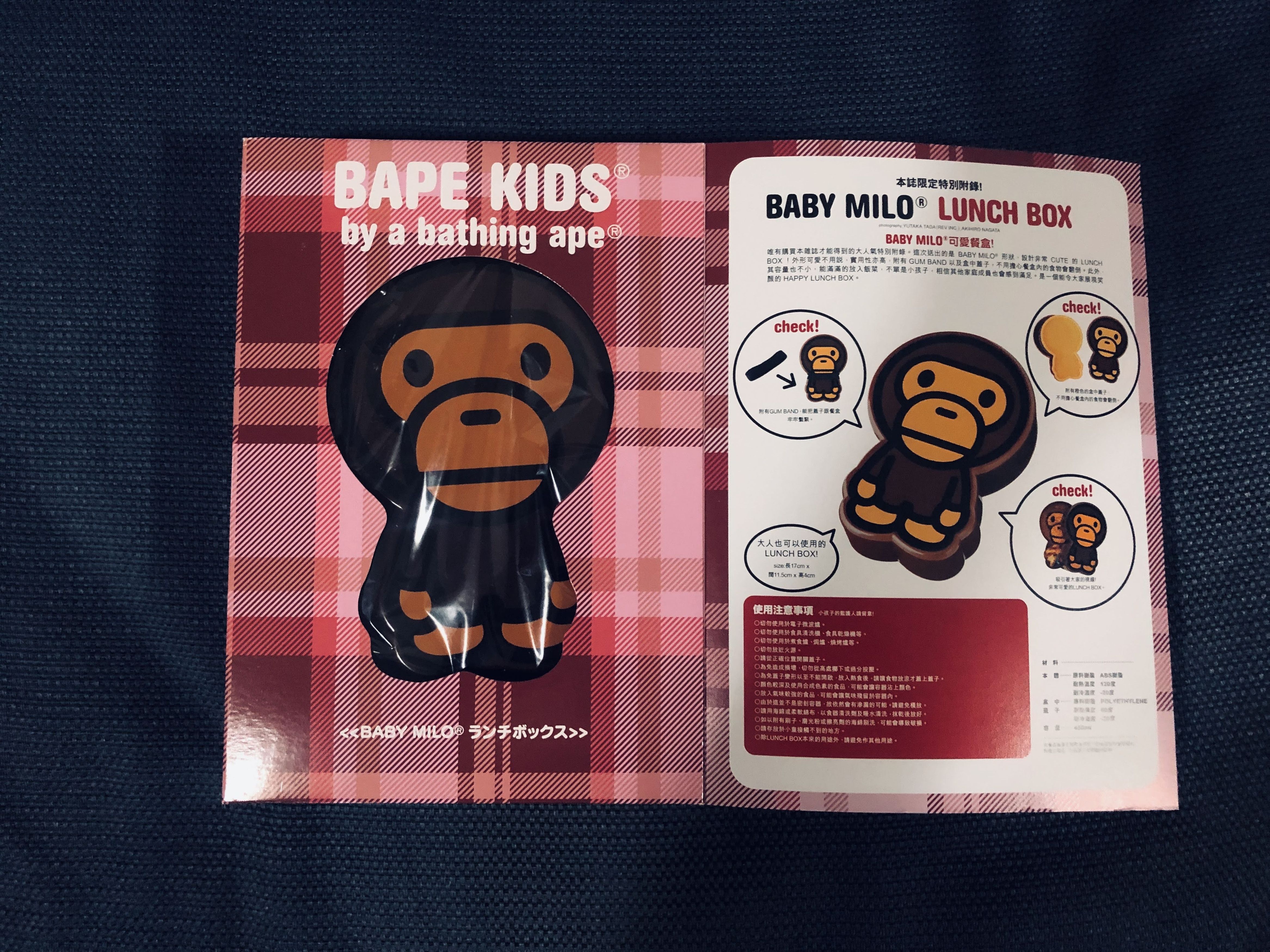Bape A Bathing Ape Bape Kids 2008 collection Lunch Box & Sticker | Grailed