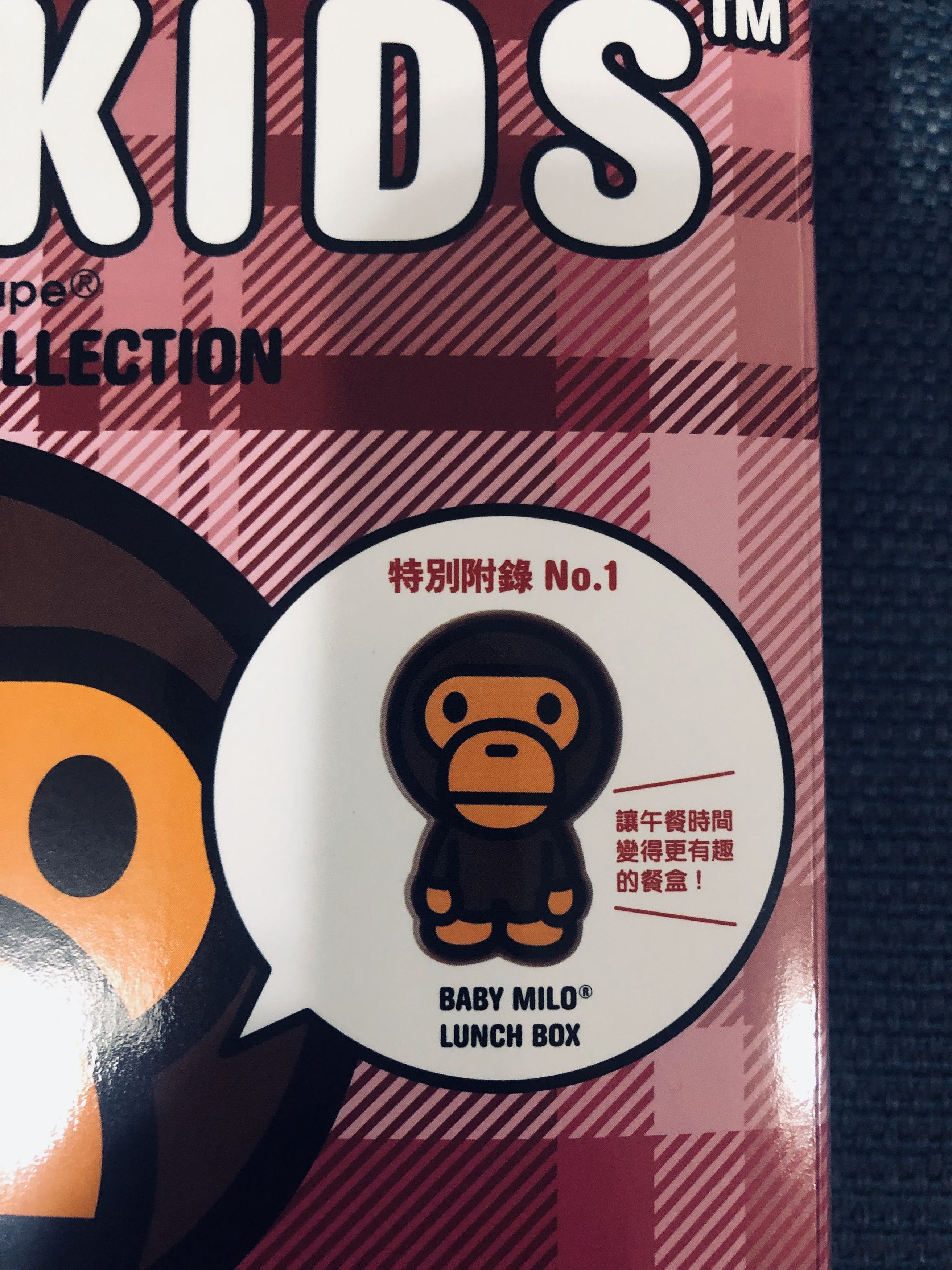 Bape A Bathing Ape Bape Kids 2008 collection Lunch Box & Sticker | Grailed