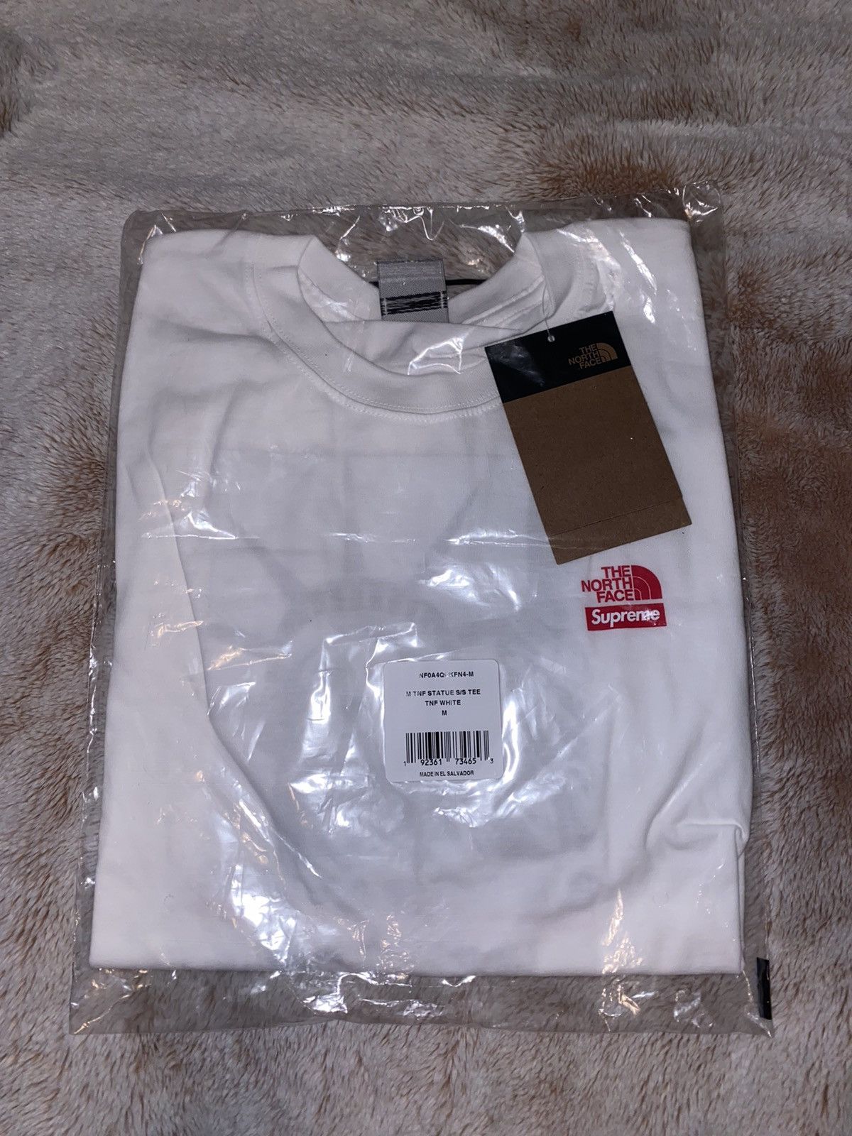 Supreme × The North Face Suprem x TNF Statue of Liberty Tee | Grailed