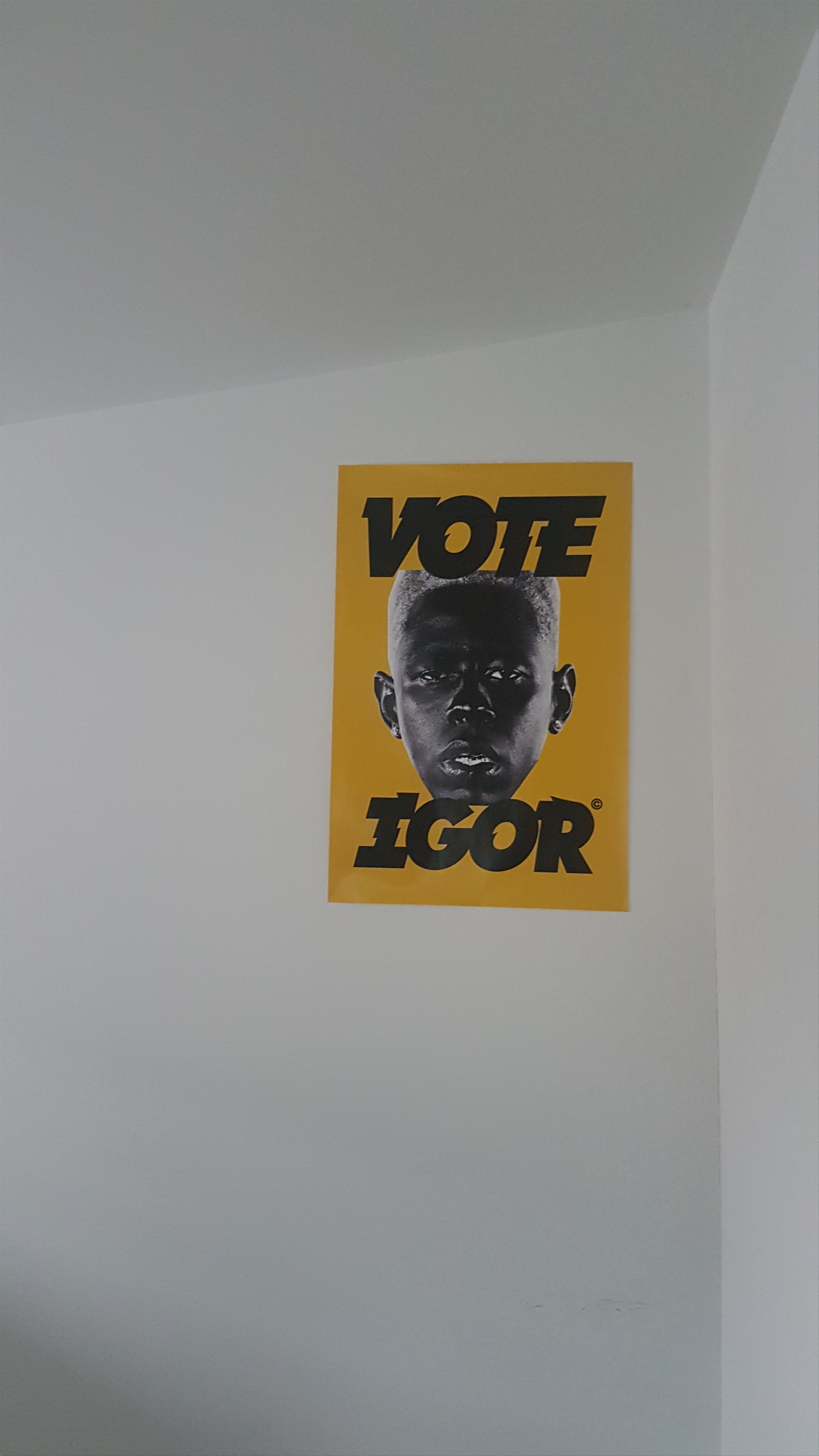 Odd Future VOTE IGOR Poster | Grailed