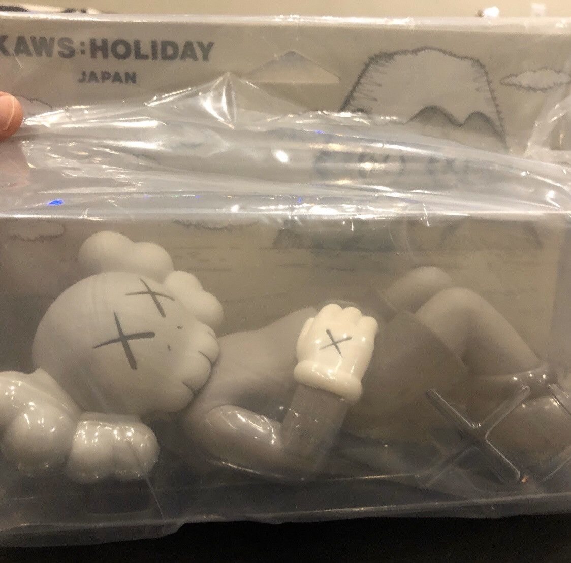 Kaws Kaws Mt. Fuji Japan Holiday 2019 Companion In Grey | Grailed