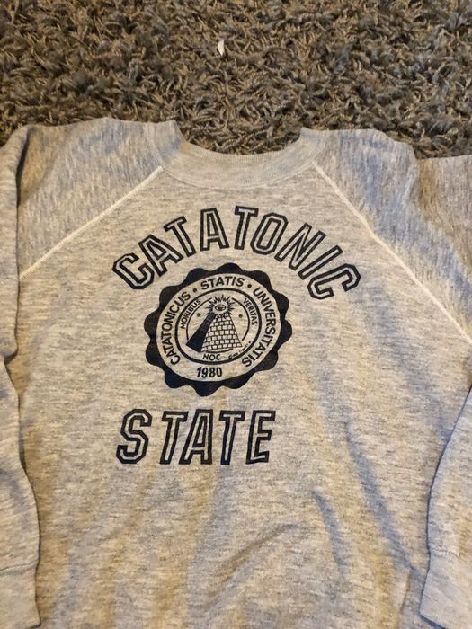 Vintage Vintage 1981 catatonic state Crewneck | Grailed