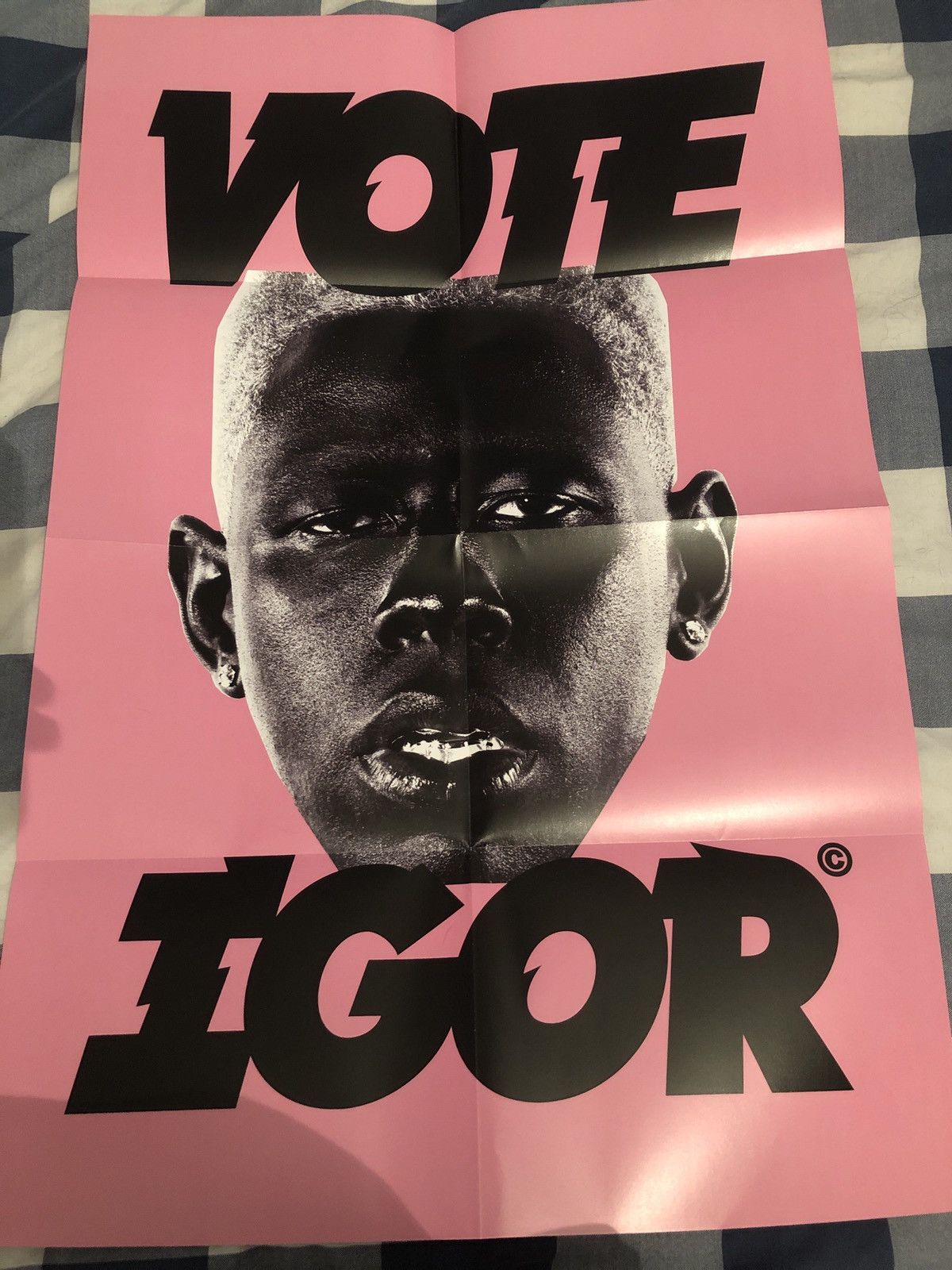 Golf Wang VOTE IGOR Large Poster | Grailed