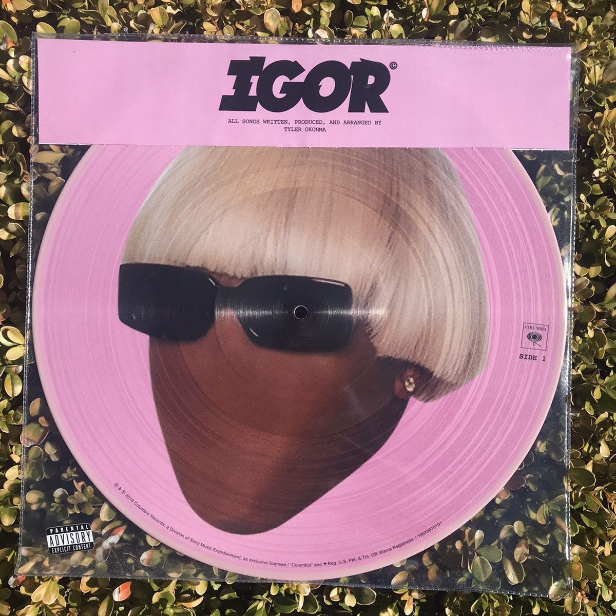 Tyler The Creator Golf wang Igor picture disc faceless vinyl | Grailed