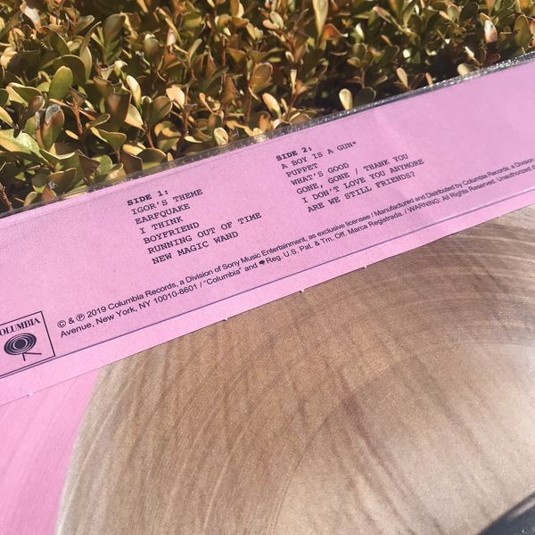 Tyler The Creator Golf wang Igor picture disc faceless vinyl | Grailed