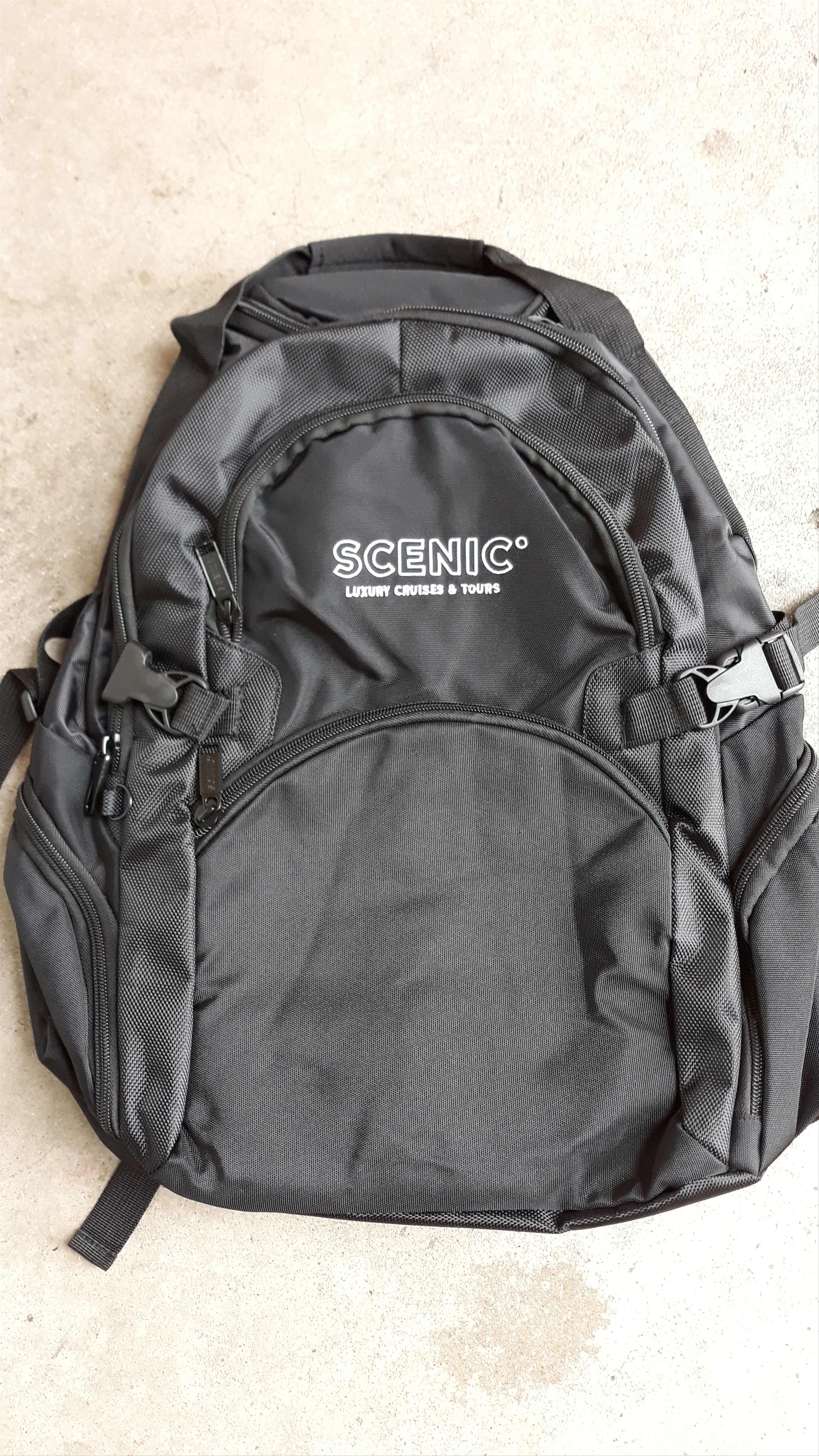 Vintage Scenic Luxury Cruises & Tours heavy duty backpack! 🏞🏕 | Grailed