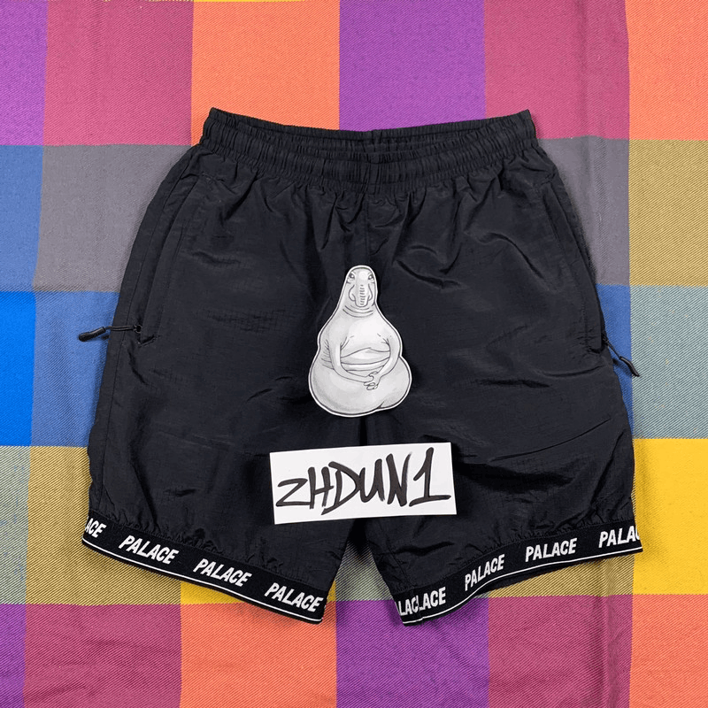 Palace Aslan Shell Shorts Grailed