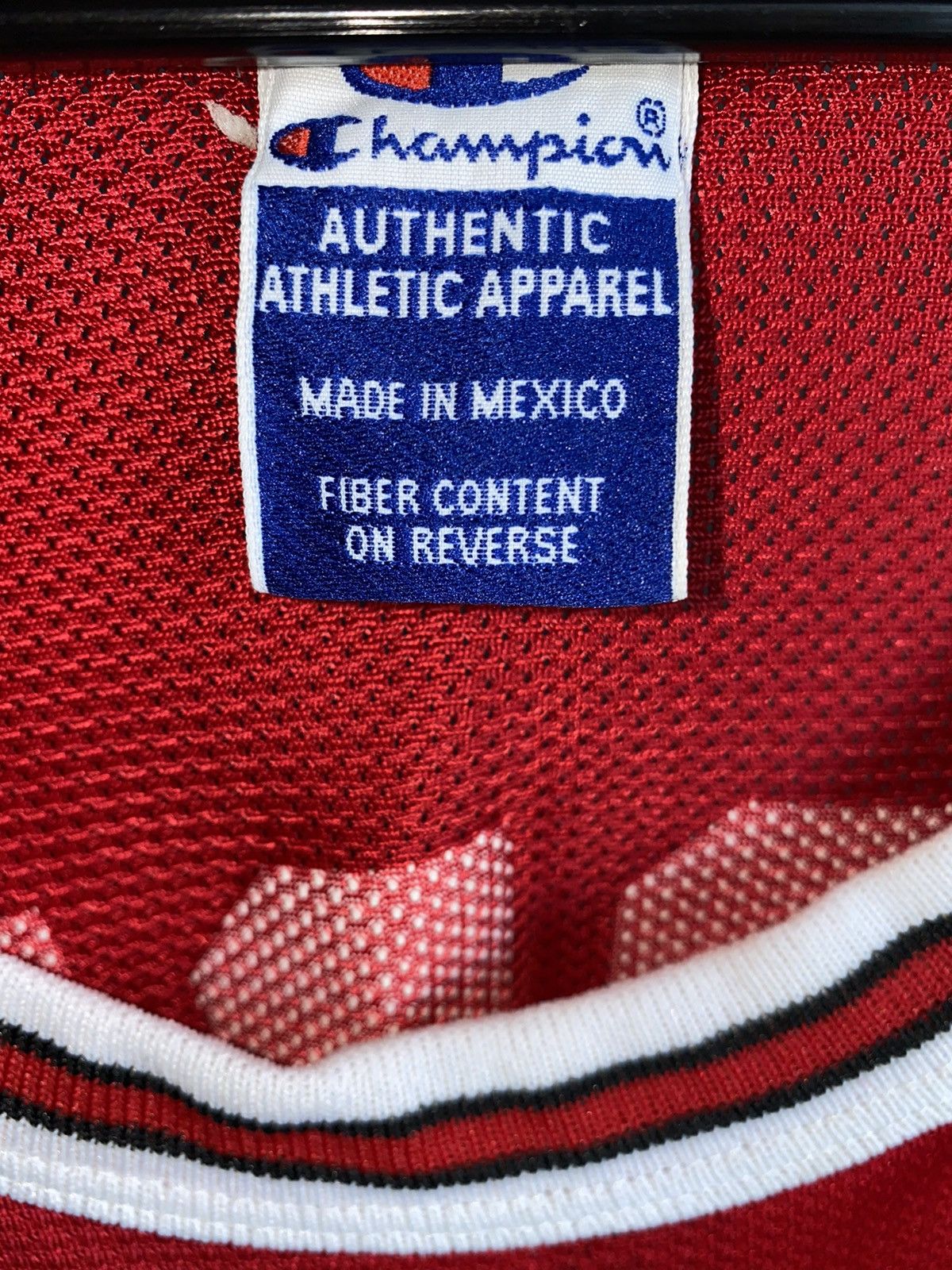 Champion CHICAGO BULLS SCOTTIE PIPEN #33 RARE VINTAGE | Grailed