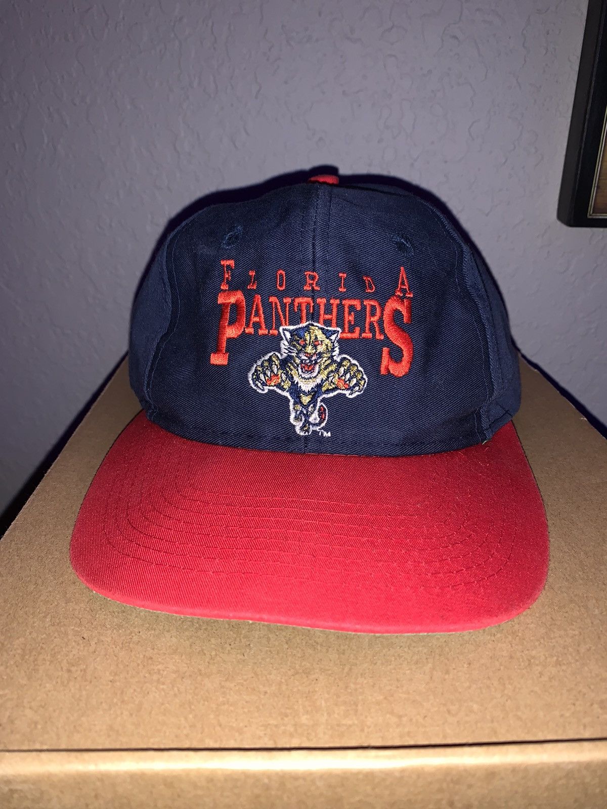 Vintage Vintage Florida Panthers Hat | Grailed