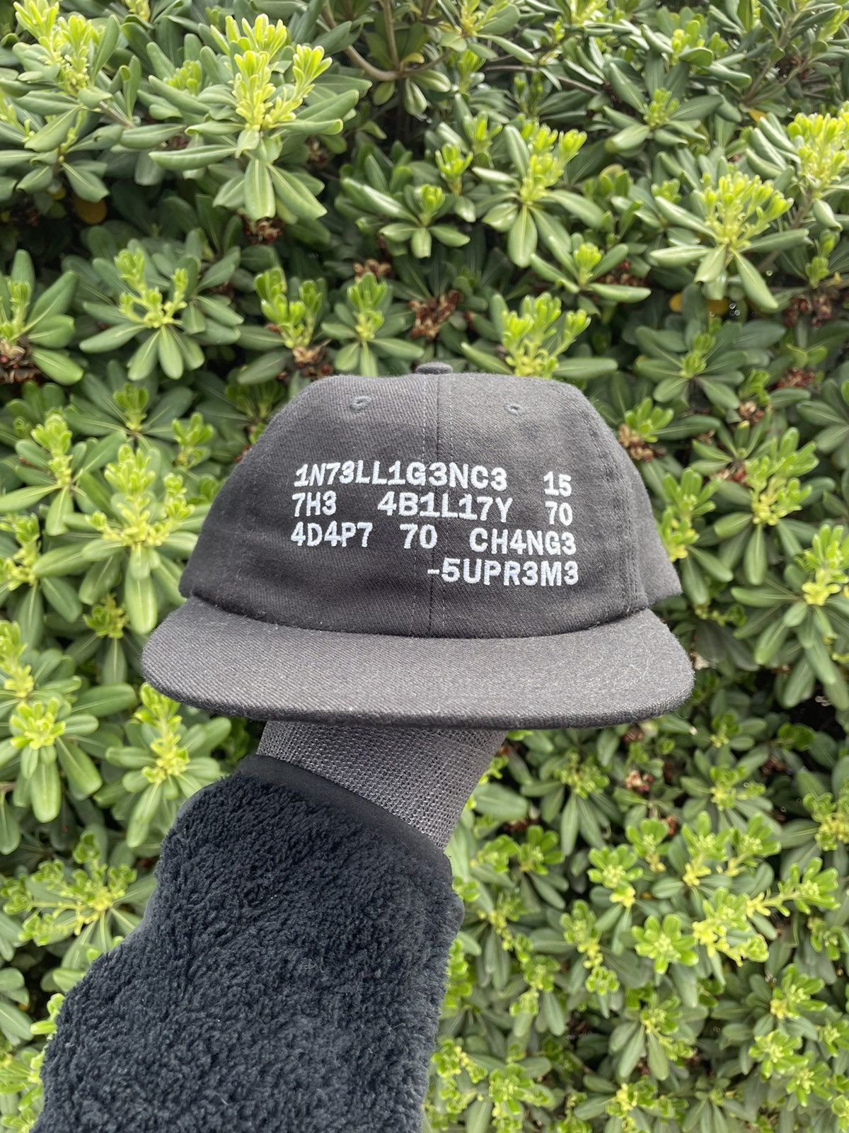 Supreme Supreme intelligence six panel hat | Grailed