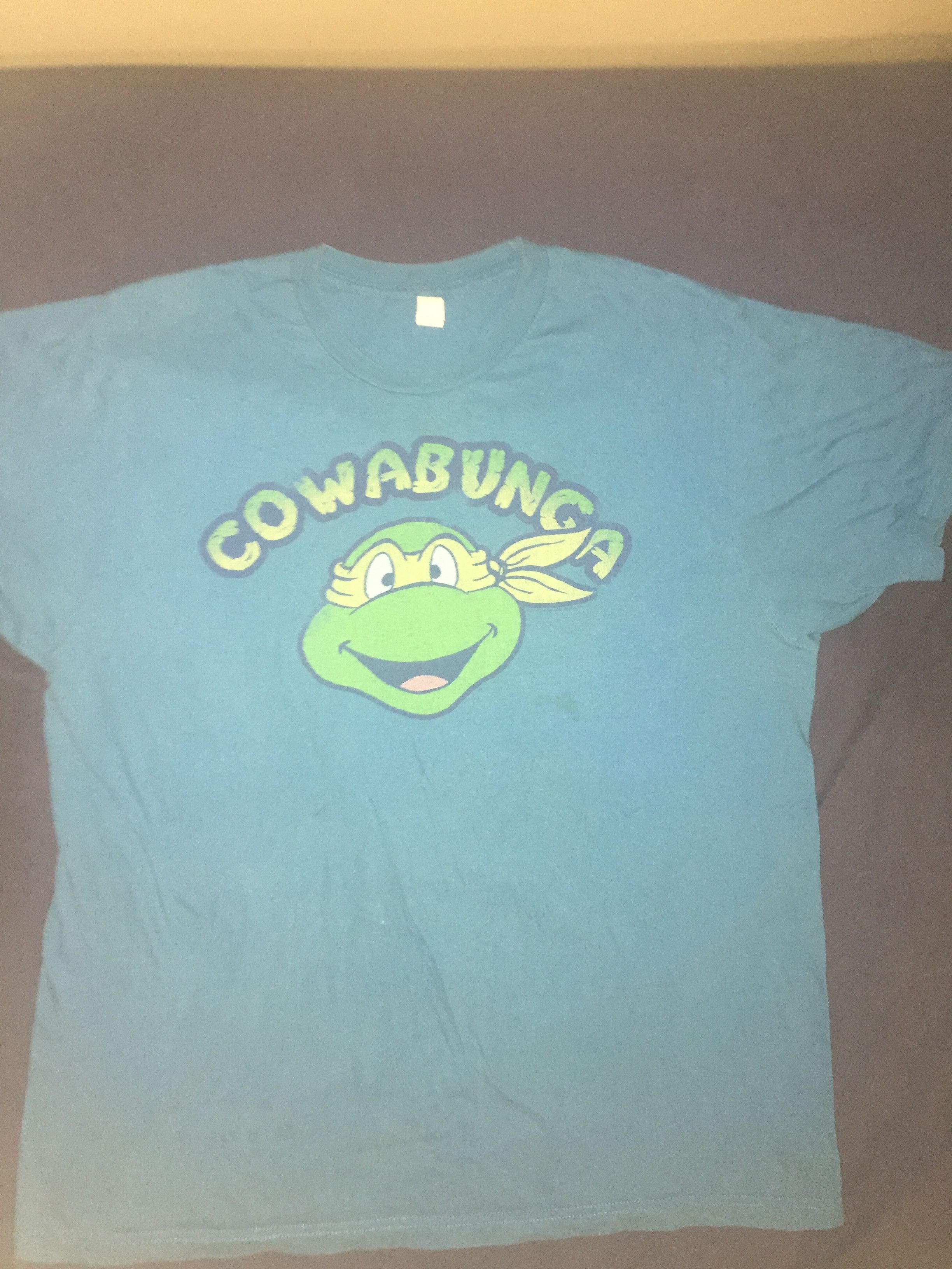 Cartoon Network × Teenage × Vintage Vintage 90s Teenage Mutant Ninja ...