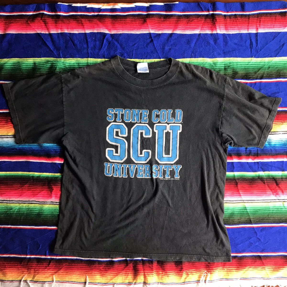 Vintage Vtg 1998 WWF Stone Cold University T-Shirt Class Of 3:16 | Grailed