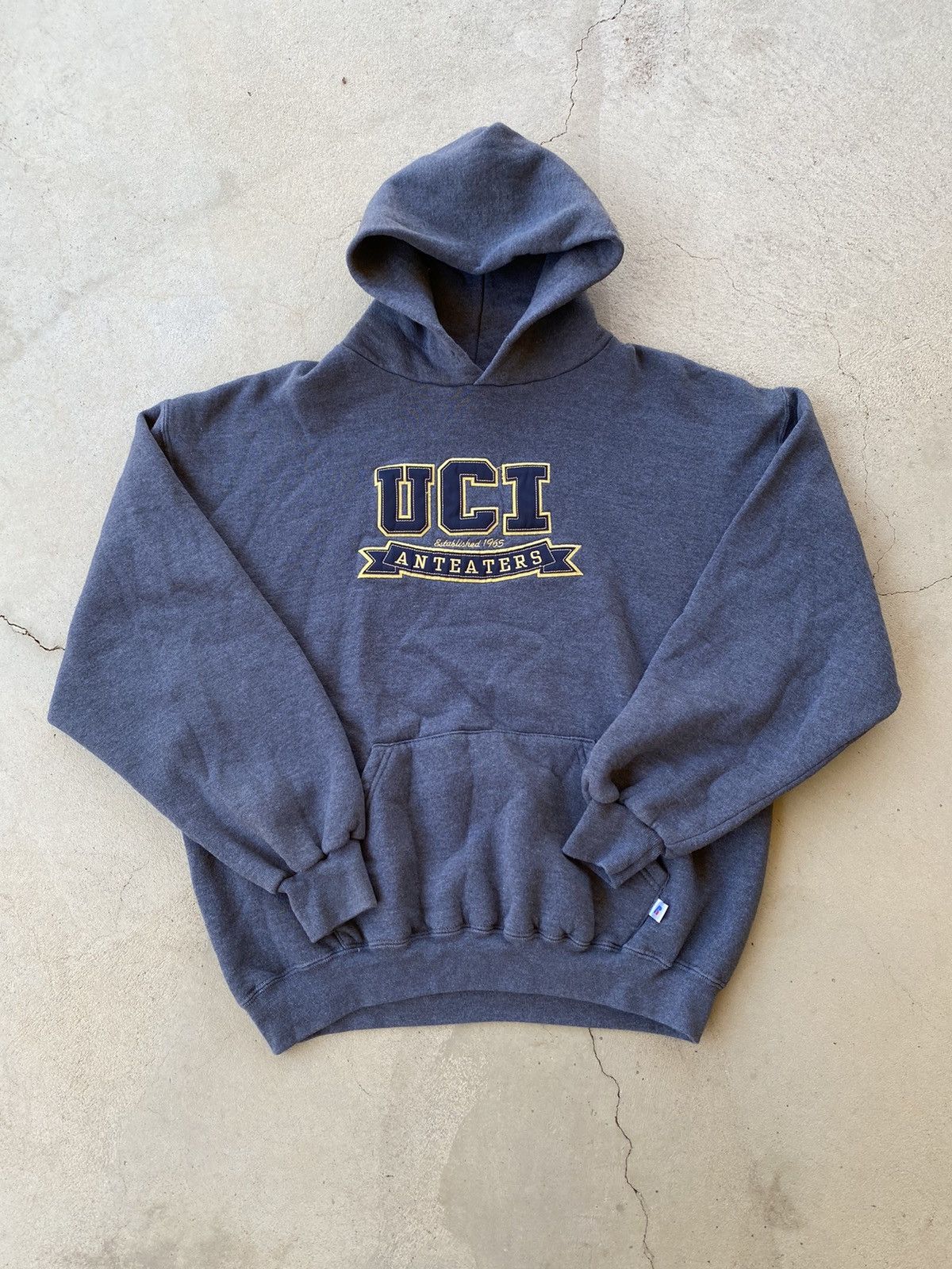 American College × Vintage UC Irvine Vintage Y2K College Hoodie Sz L ...