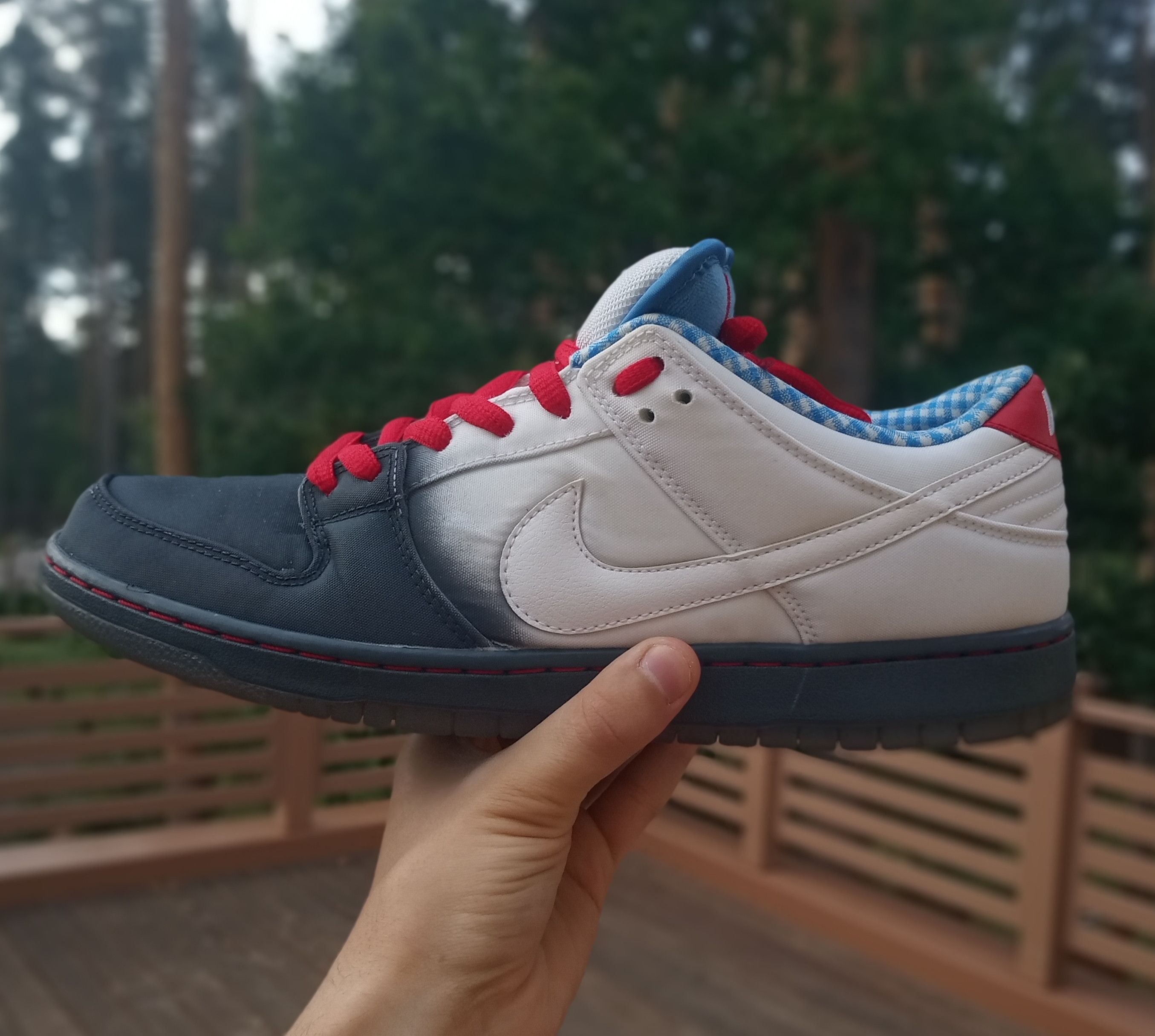 Nike (offers) Dunk Low SB Dorothy | Grailed