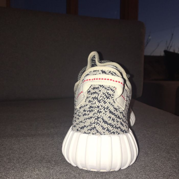 Adidas Turtle Dove | Grailed