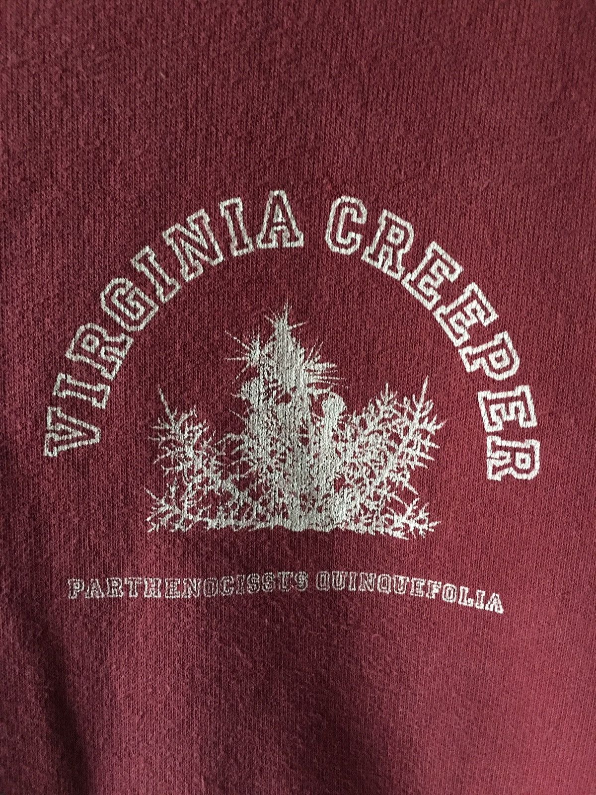 Raf Simons AW02 Virginia Creeper Hoodie | Grailed