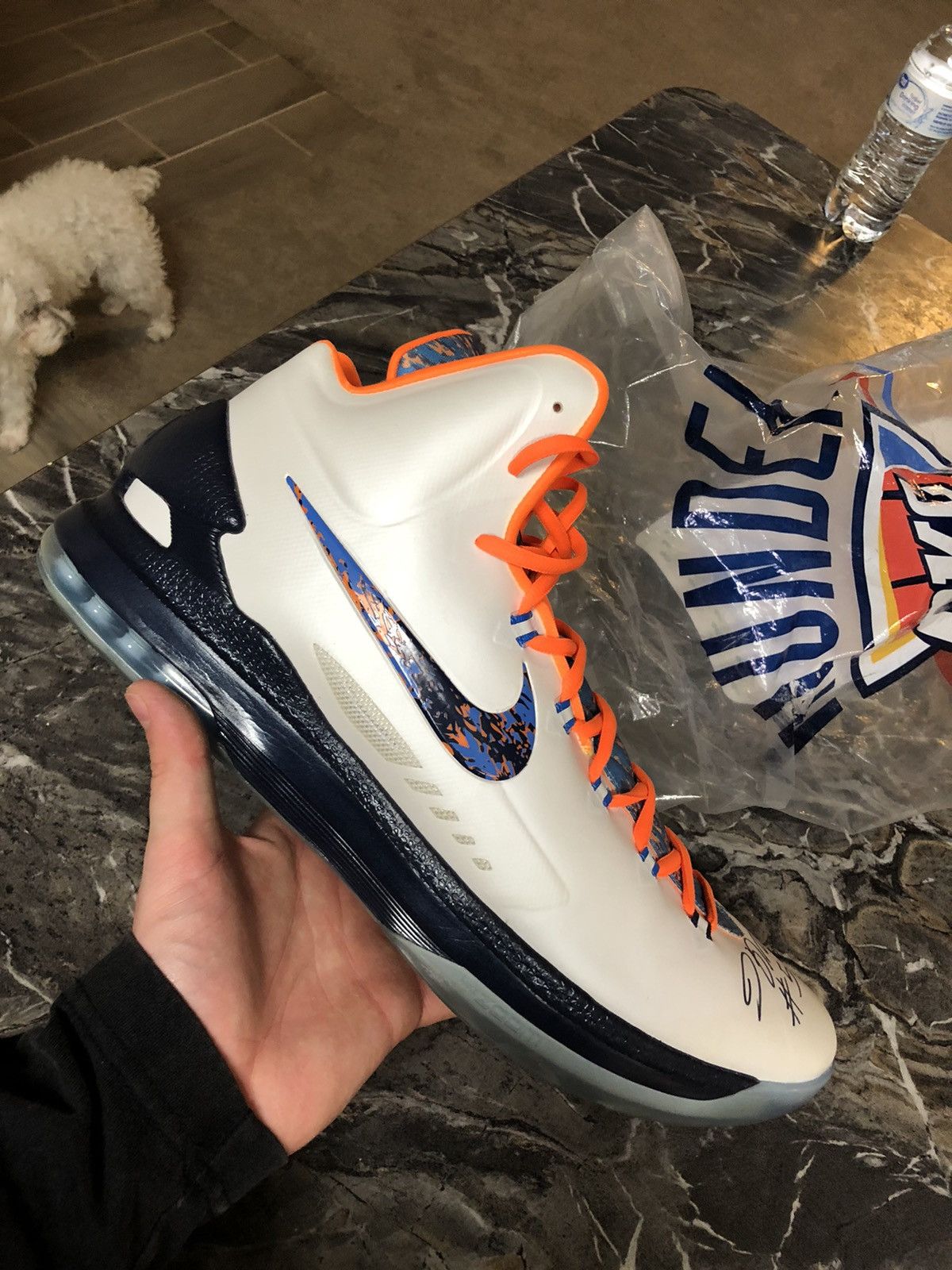 Nike SAMPLE Nike Kd 5s worn and signed | Grailed