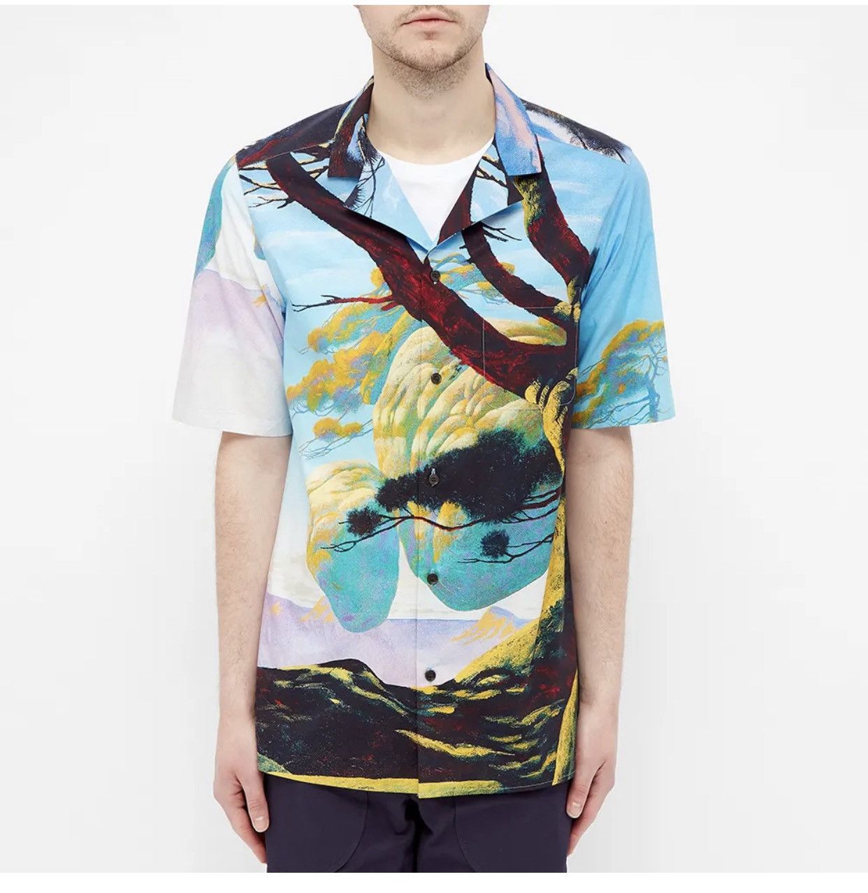 Valentino Final Price Valentino Floating Islands - Roger Dean Print ...