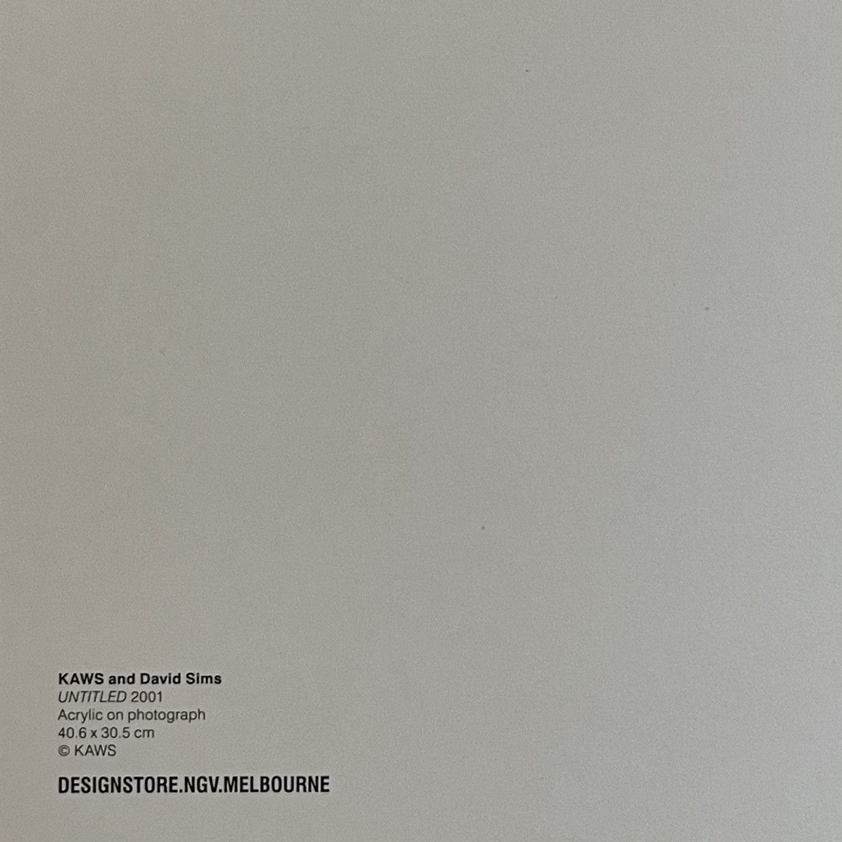 Kaws Kaws x David Sims - Kate Moss Poster | Grailed