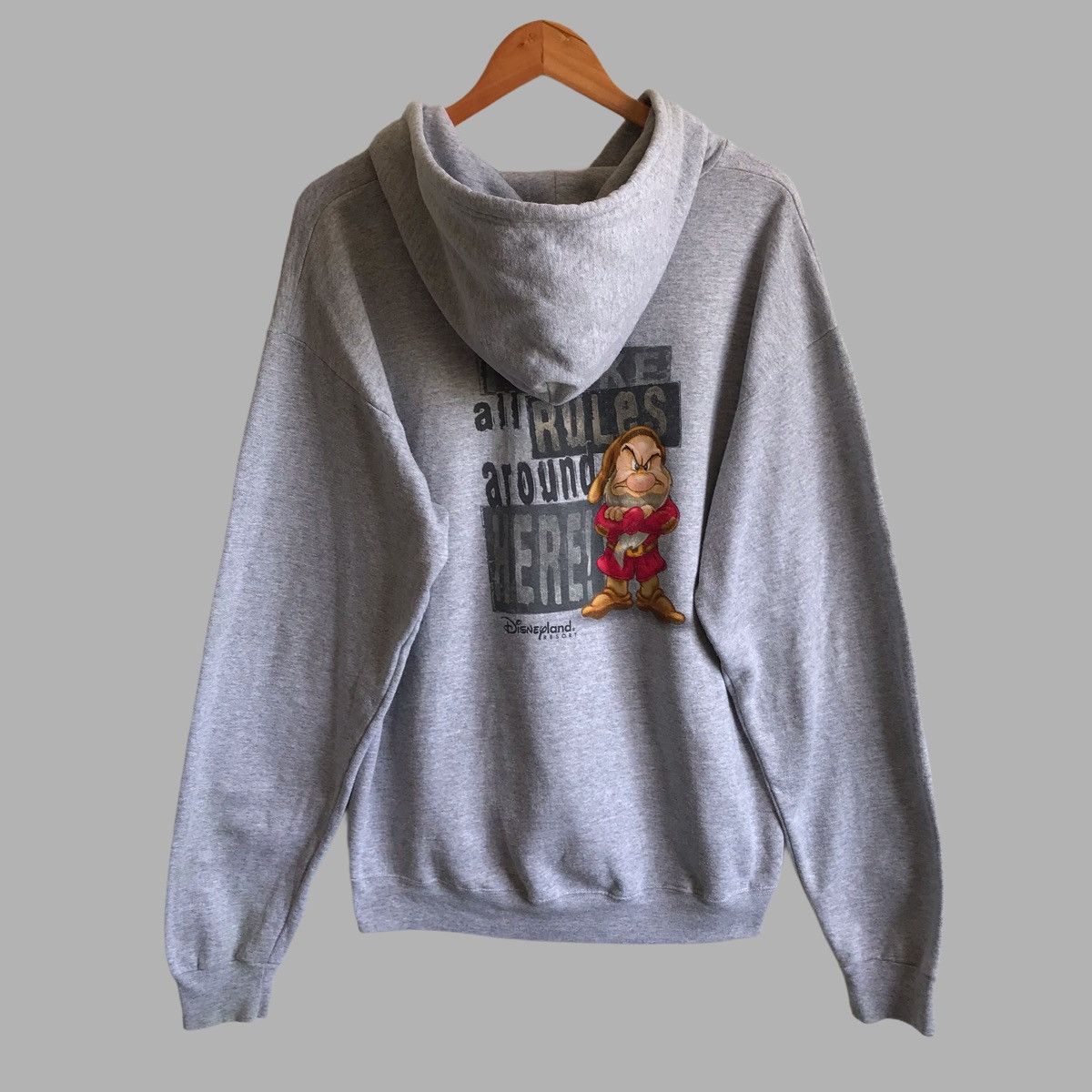 Cartoon Network × Disney × Vintage Vintage Disney Grumpy Biglogo ...