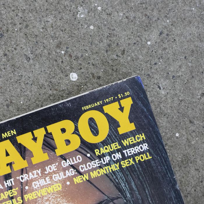 Playboy February 1977 Playboy Magazine | Grailed