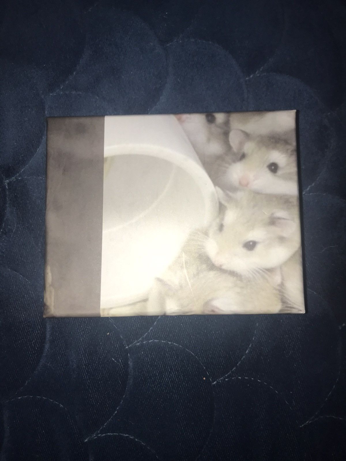 Imran Potato Imran potato wallet | Grailed