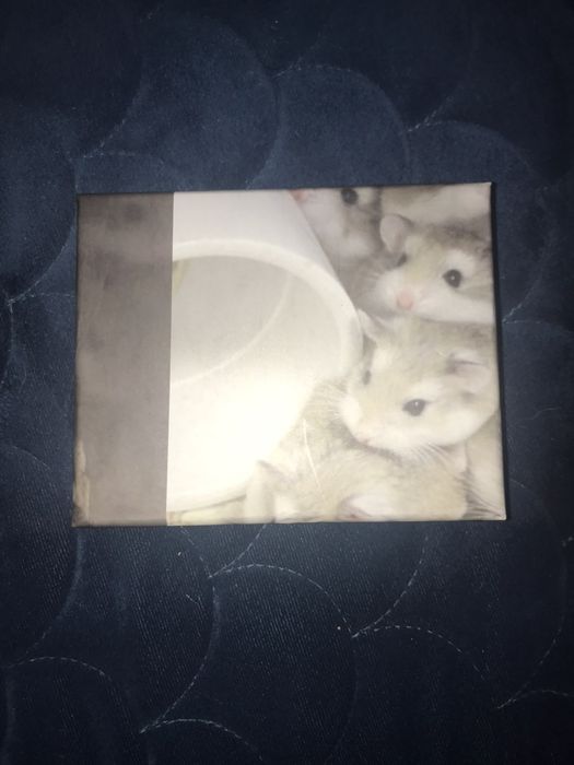 Imran Potato Imran potato wallet | Grailed