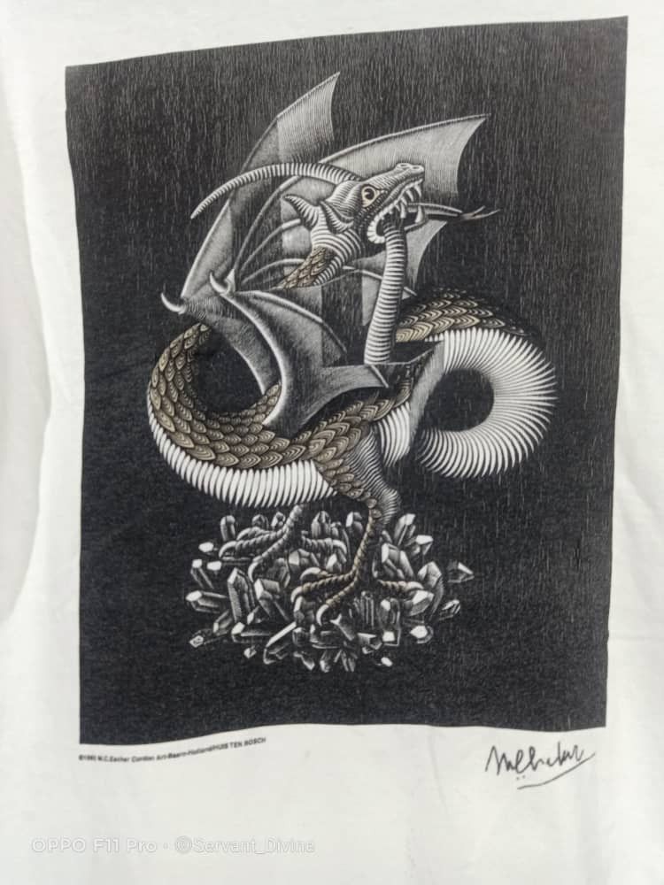 Dragonfly × Japanese Brand M.C.Escher @1960 Cordon Art-BAARN-Holland to ...