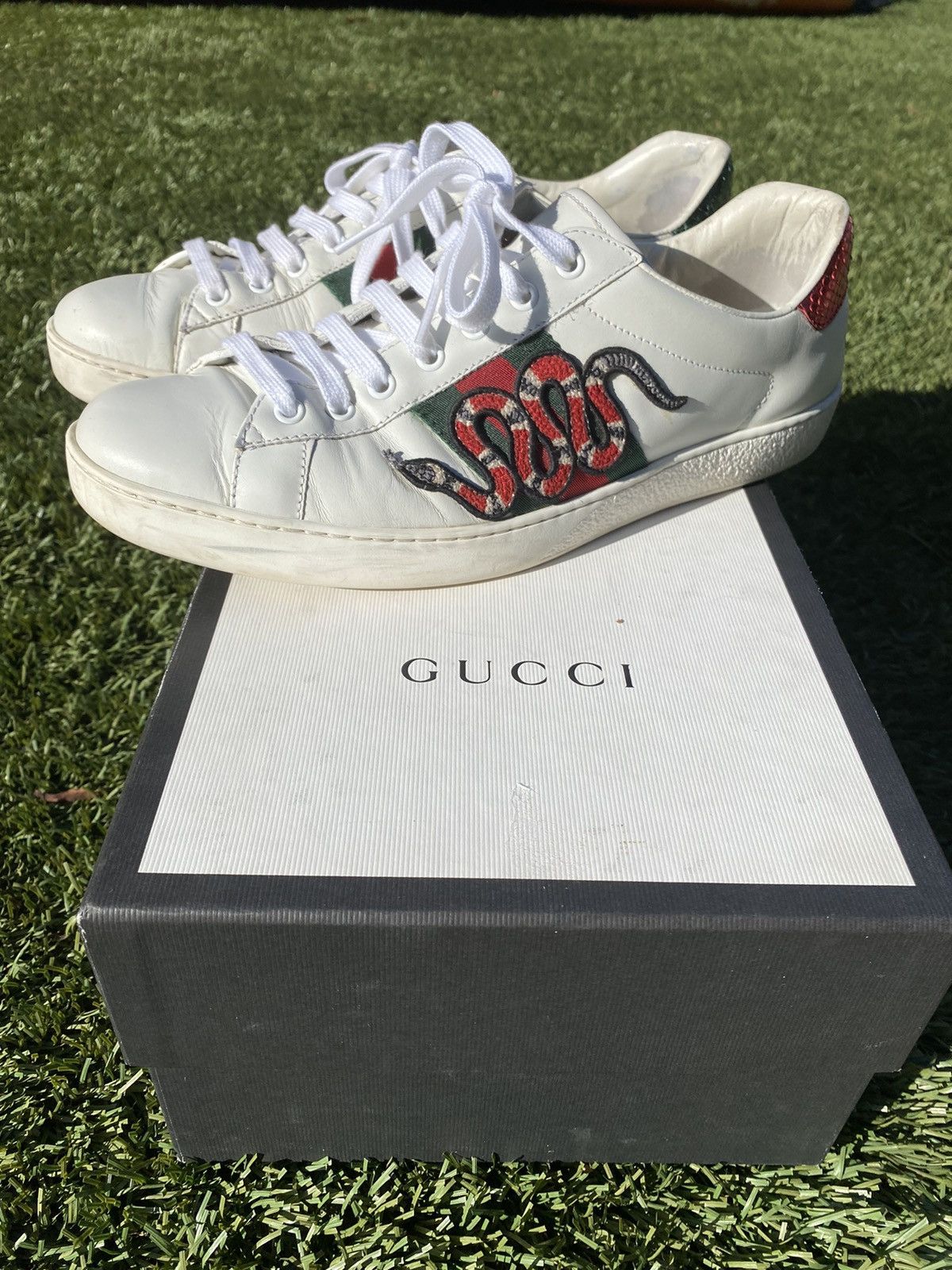 Gucci Gucci Ace Snake Sneakers | Grailed