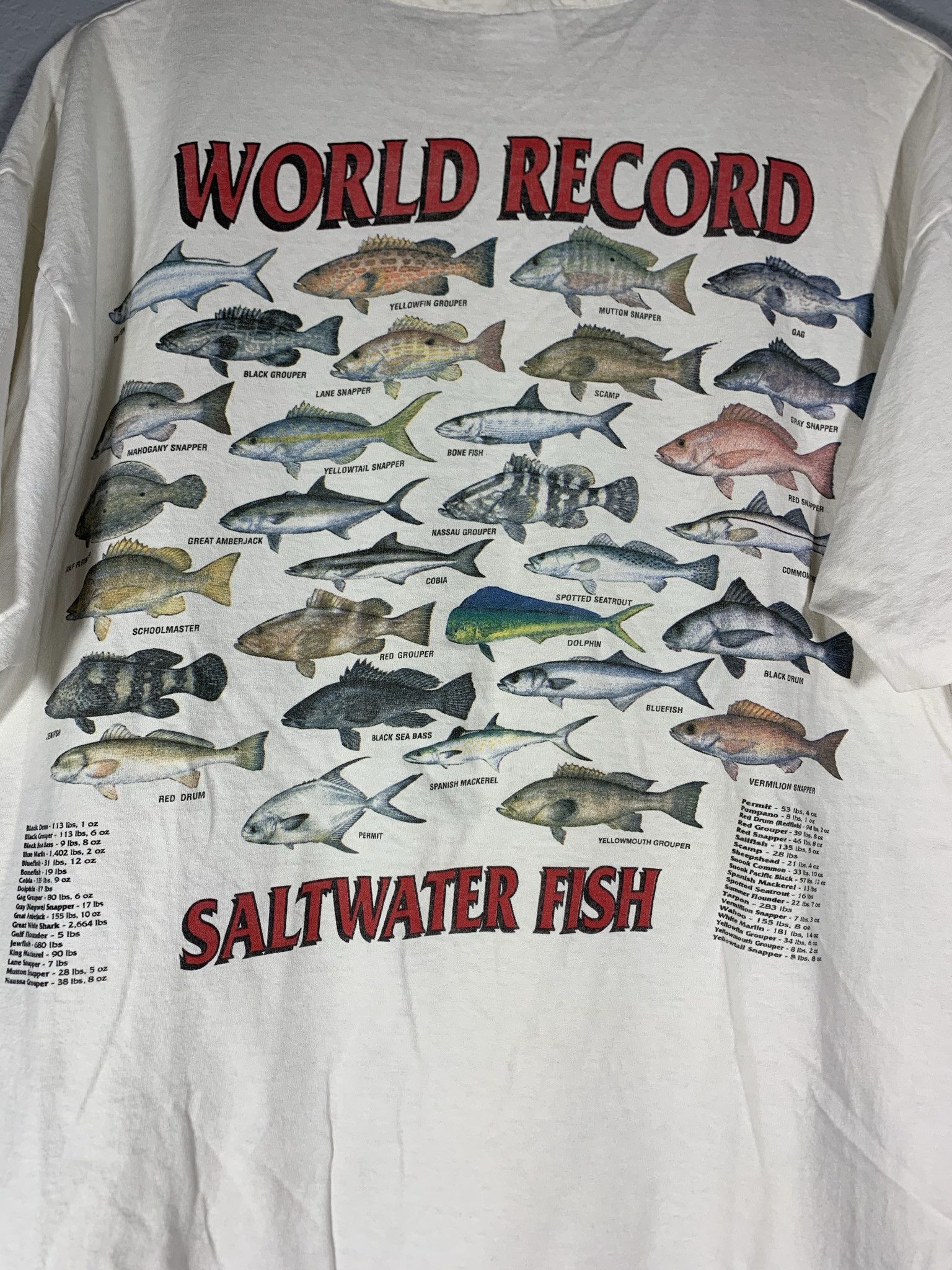 Anvil × Vintage Vintage Anvil World Record Saltwater Fish Fishing VTG ...