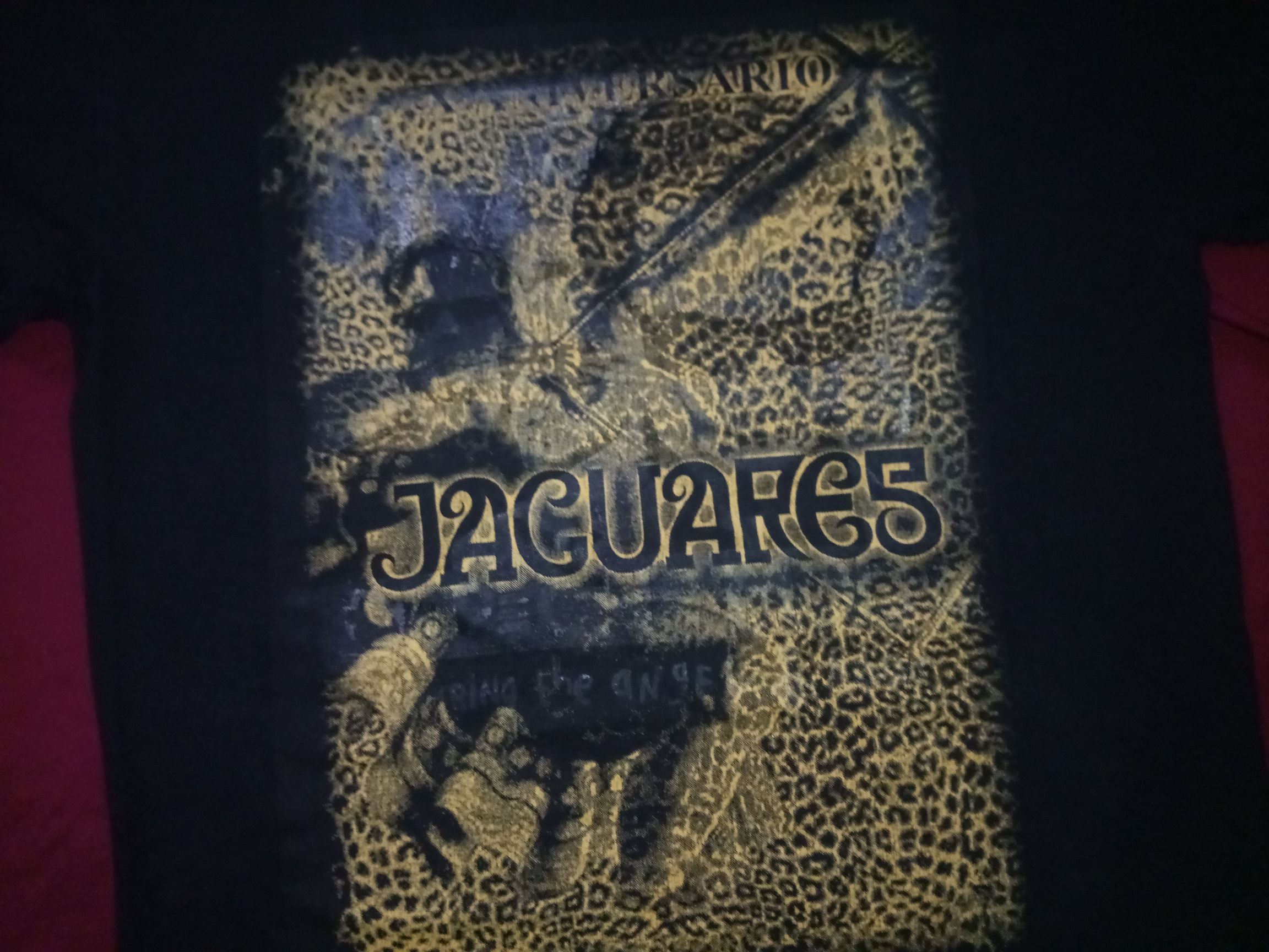 Rock T Shirt Jaguares mexican band rock latin Caifanes Saúl Hernández ...