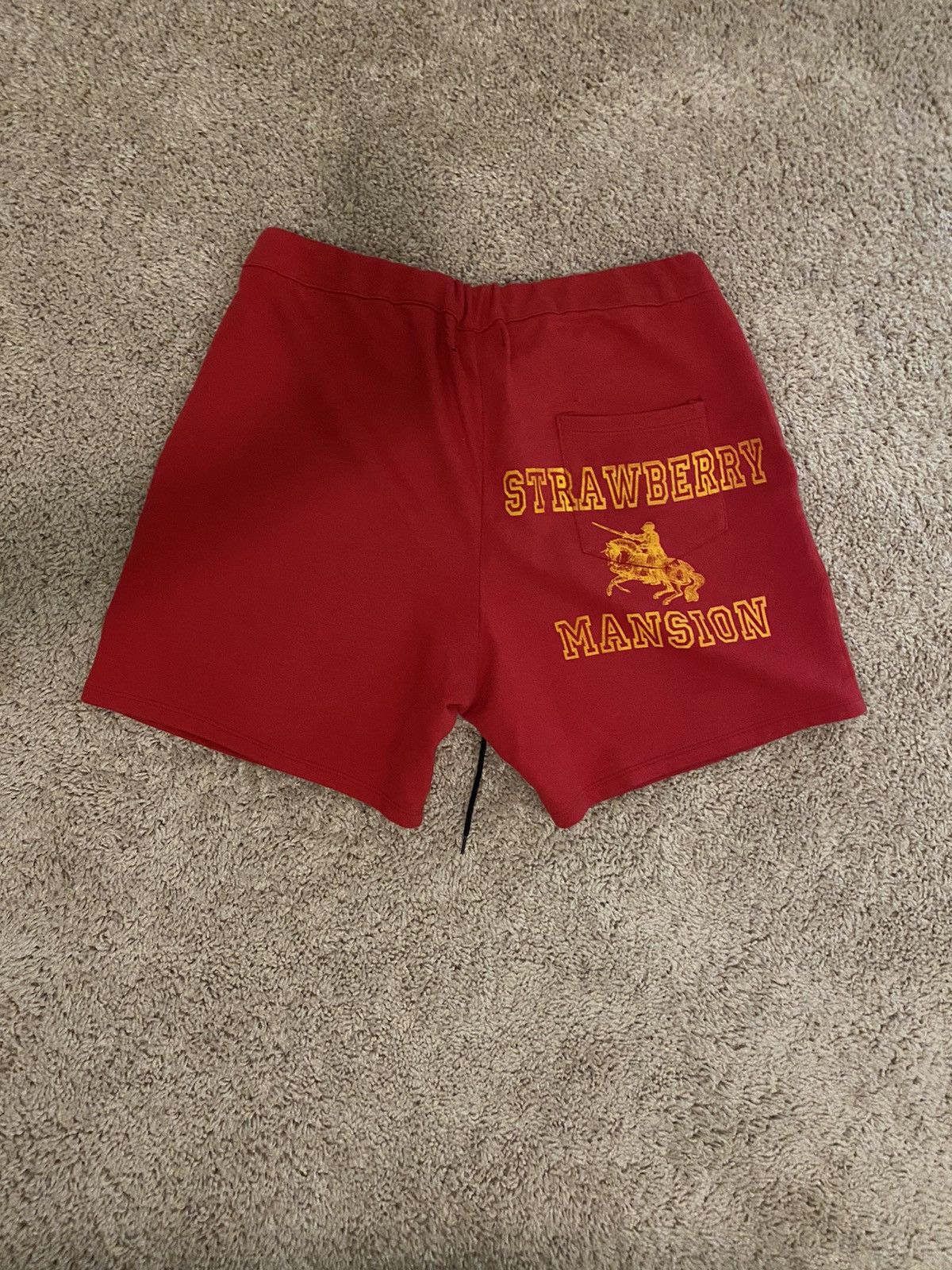 Other Unwanted Co. / Strawberry Mansion Capsule Shorts | Grailed