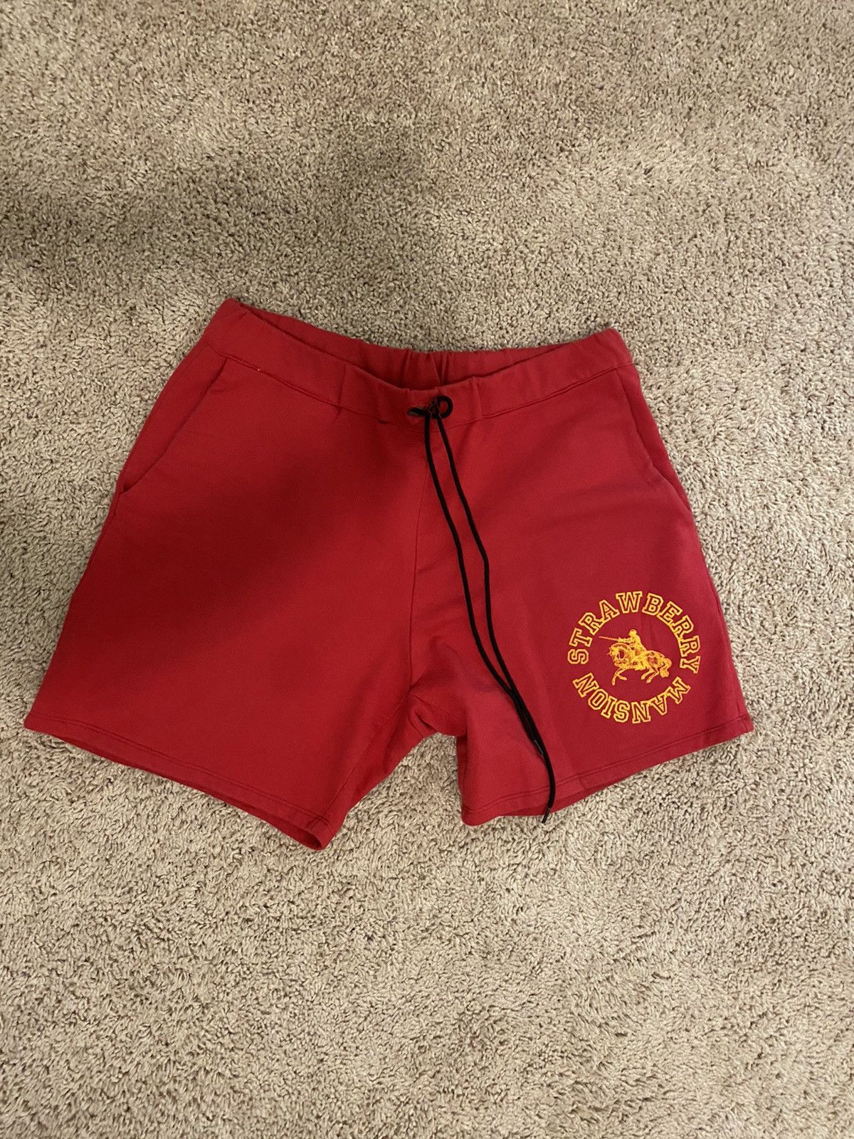 Other Unwanted Co. / Strawberry Mansion Capsule Shorts | Grailed