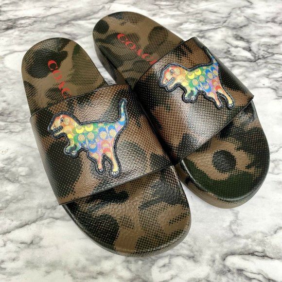 Coach Coach Camo Signature Rainbow Rexy Dinosaur Slides | Grailed