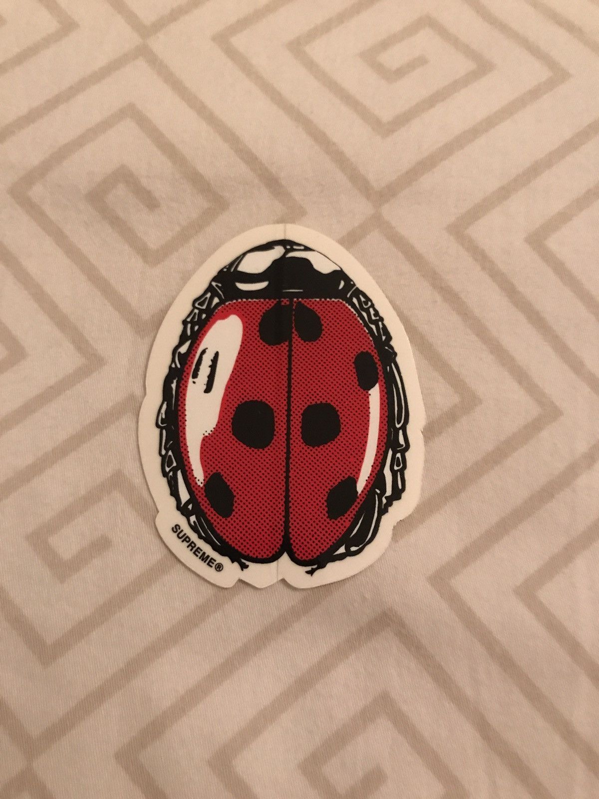 Supreme Supreme Ladybug Sticker | Grailed