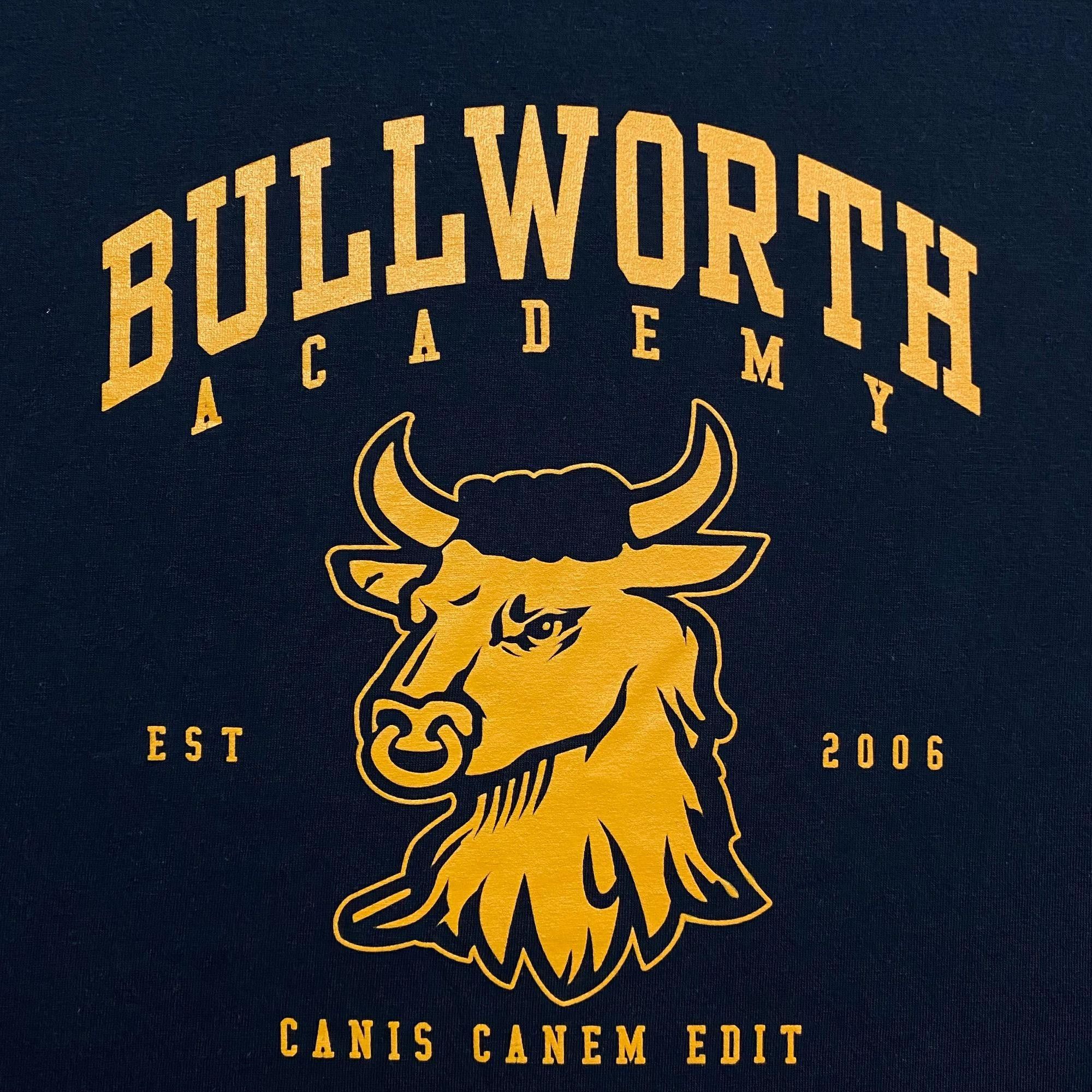 Vintage Rockstar Bullworth Academy Vintage Tee M | Grailed