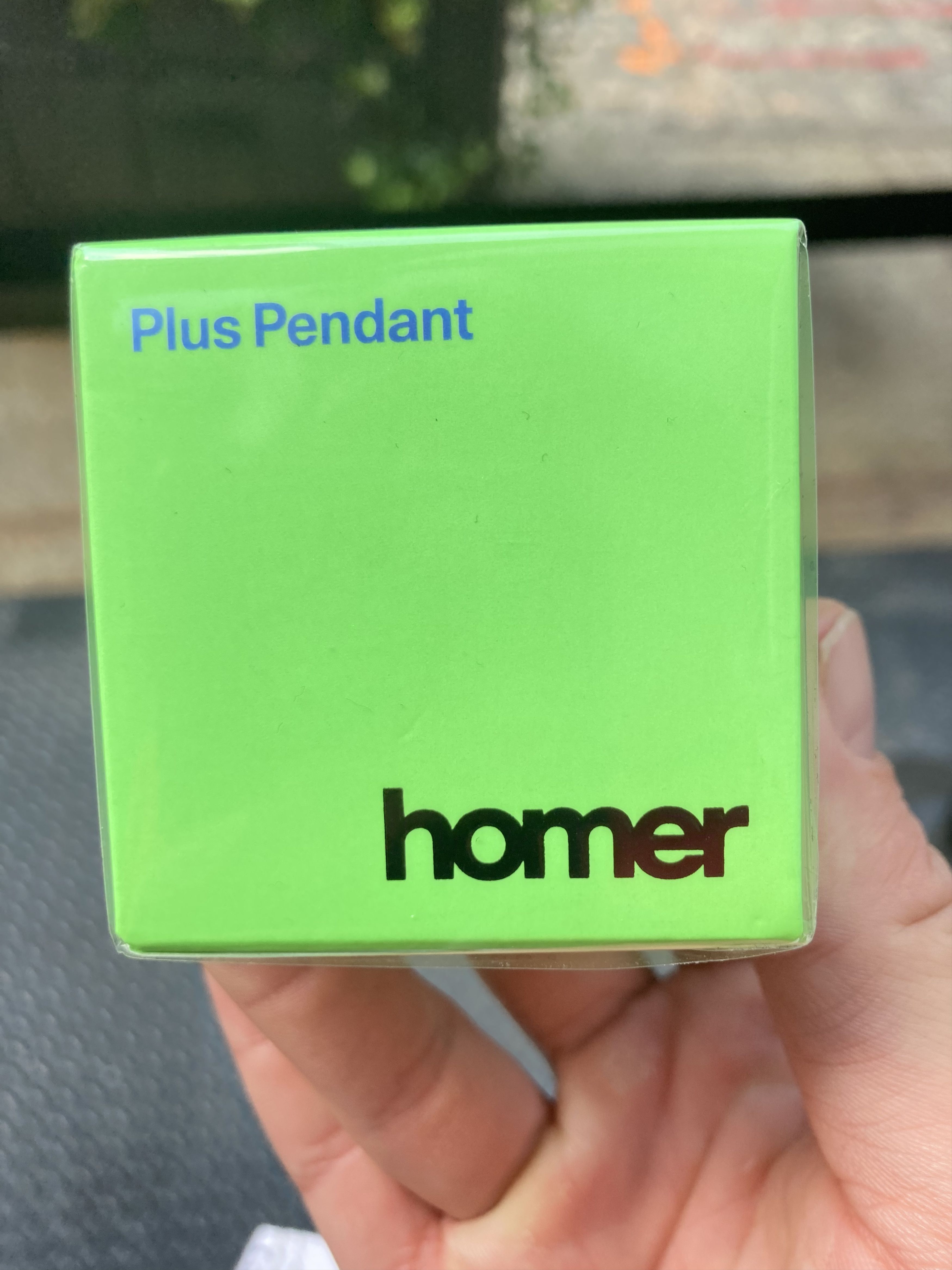 Homer Plus pendant | Grailed