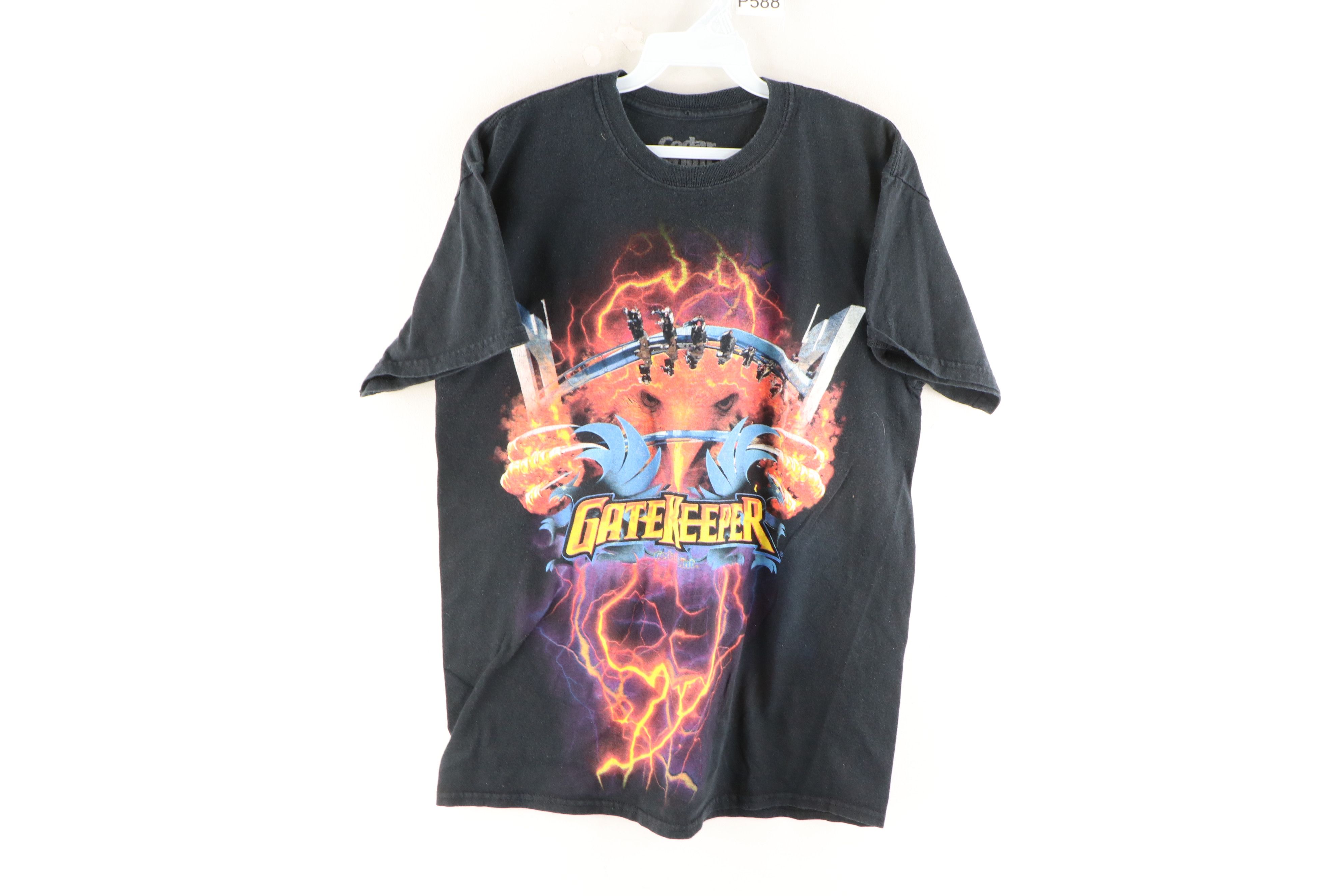 Vintage Cedar Point Distressed GateKeeper Roller Coaster T-Shirt | Grailed