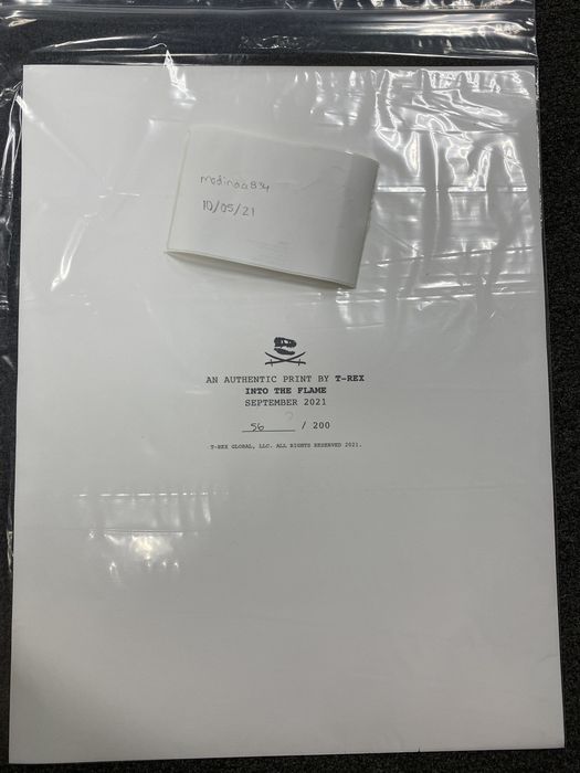Other T-Rex Global “Into The Flame” Print | Grailed