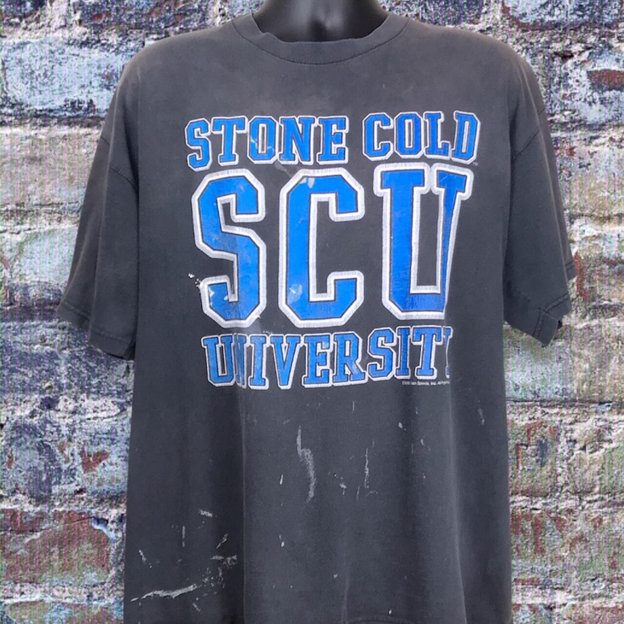 Other × Vintage × WWE Vintage WWF WWE Stone Cold University Wrestling T ...
