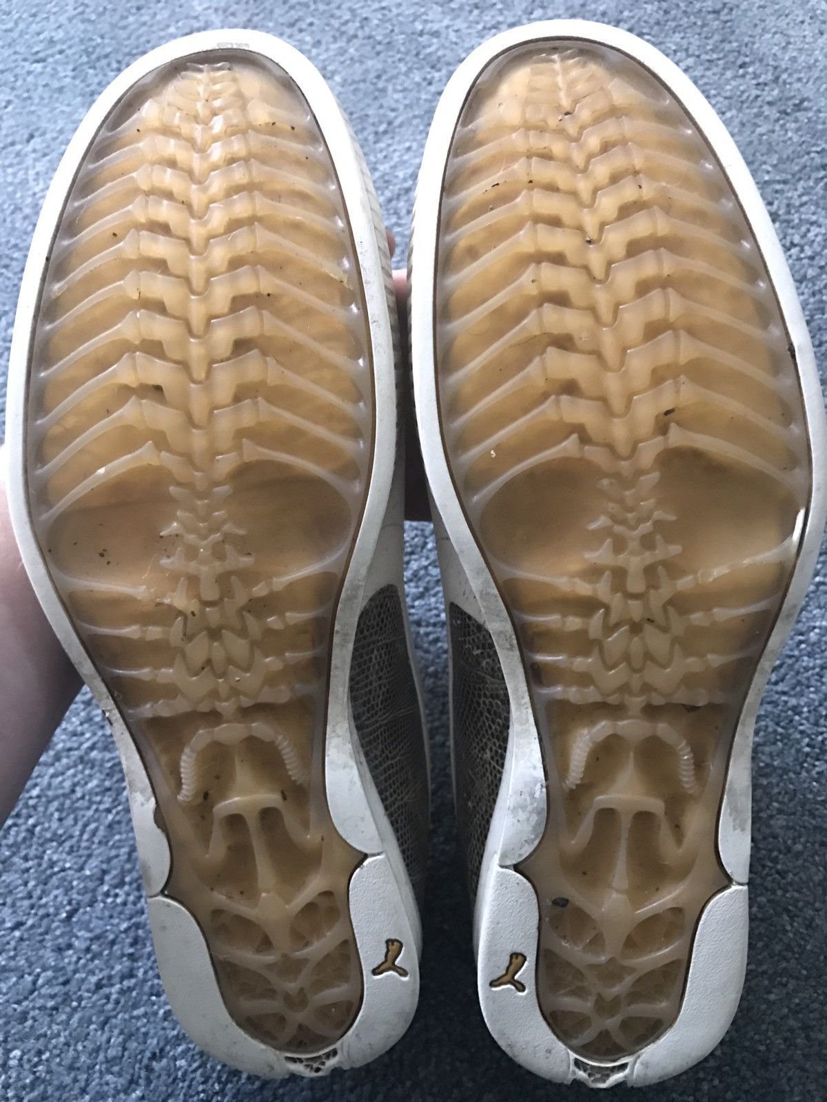 Alexander McQueen × Puma McQueen Puma AMQ Spine Lizard Skin RARE ...
