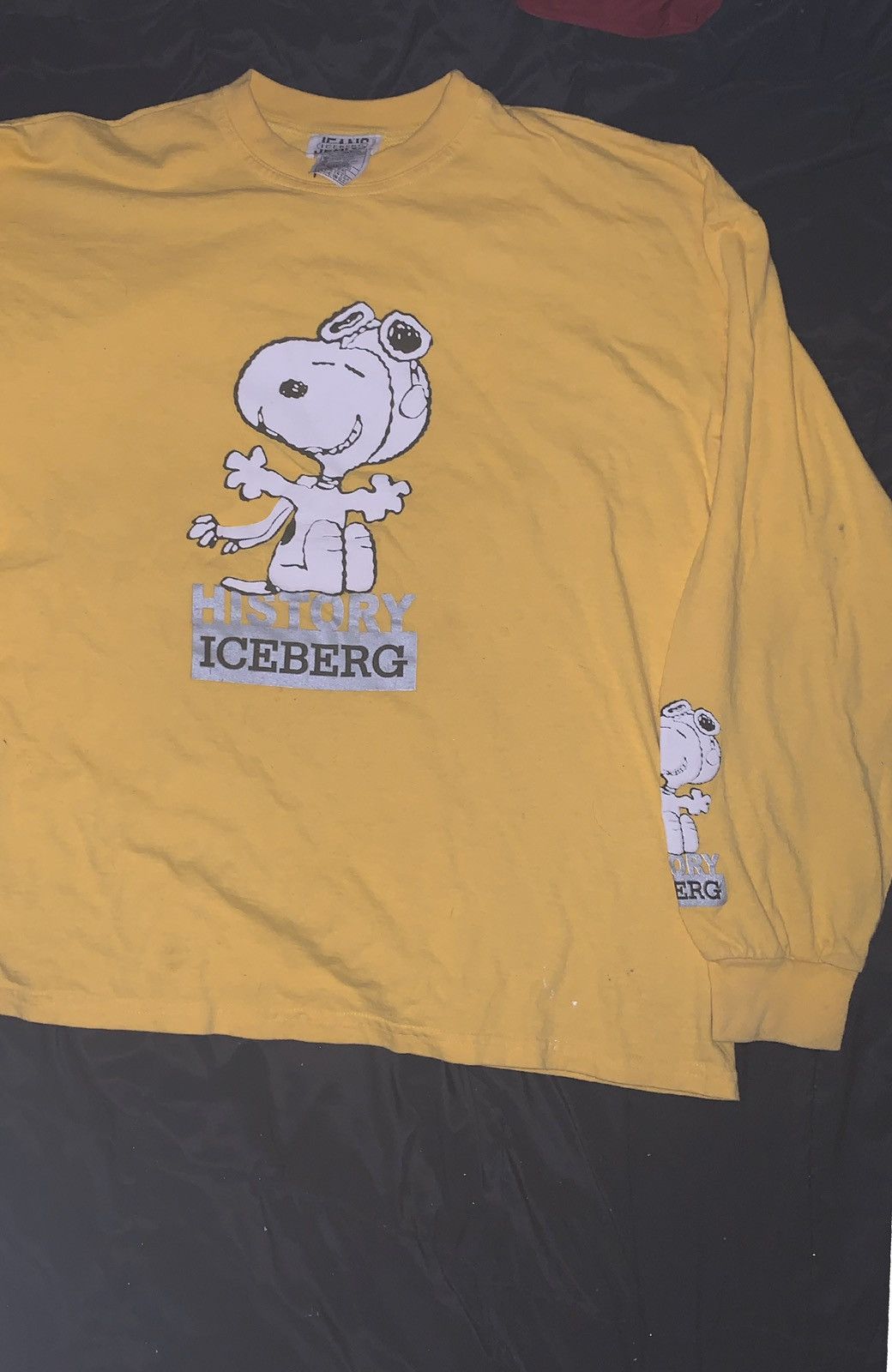Iceberg History Iceberg History Vintage Snoopy the Flying Ace 3M ...