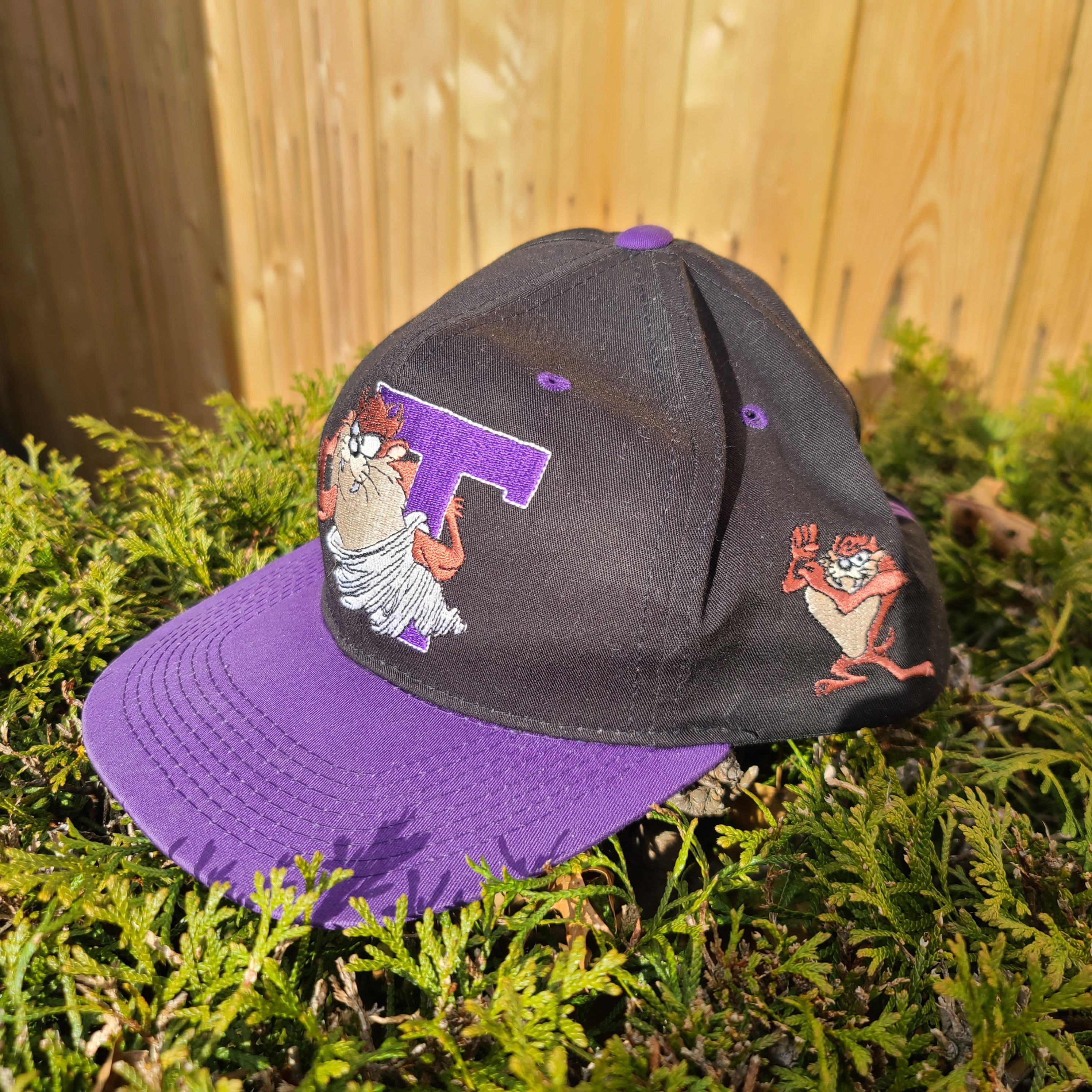 Vintage Vintage 1993 Taz The Tazmanian Devil Tornado Hat | Grailed