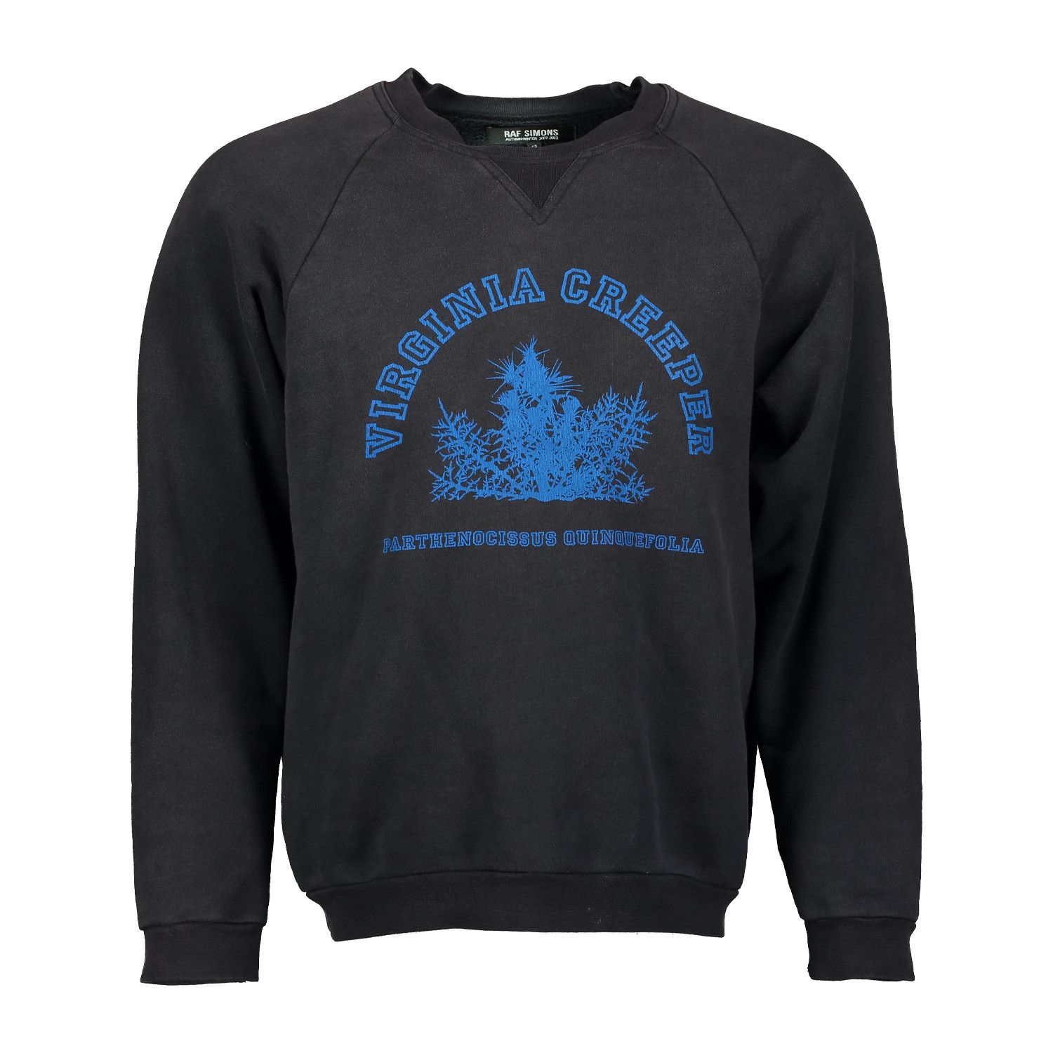 Raf Simons AW02 Virginia Creeper College Sweatshirt | Grailed