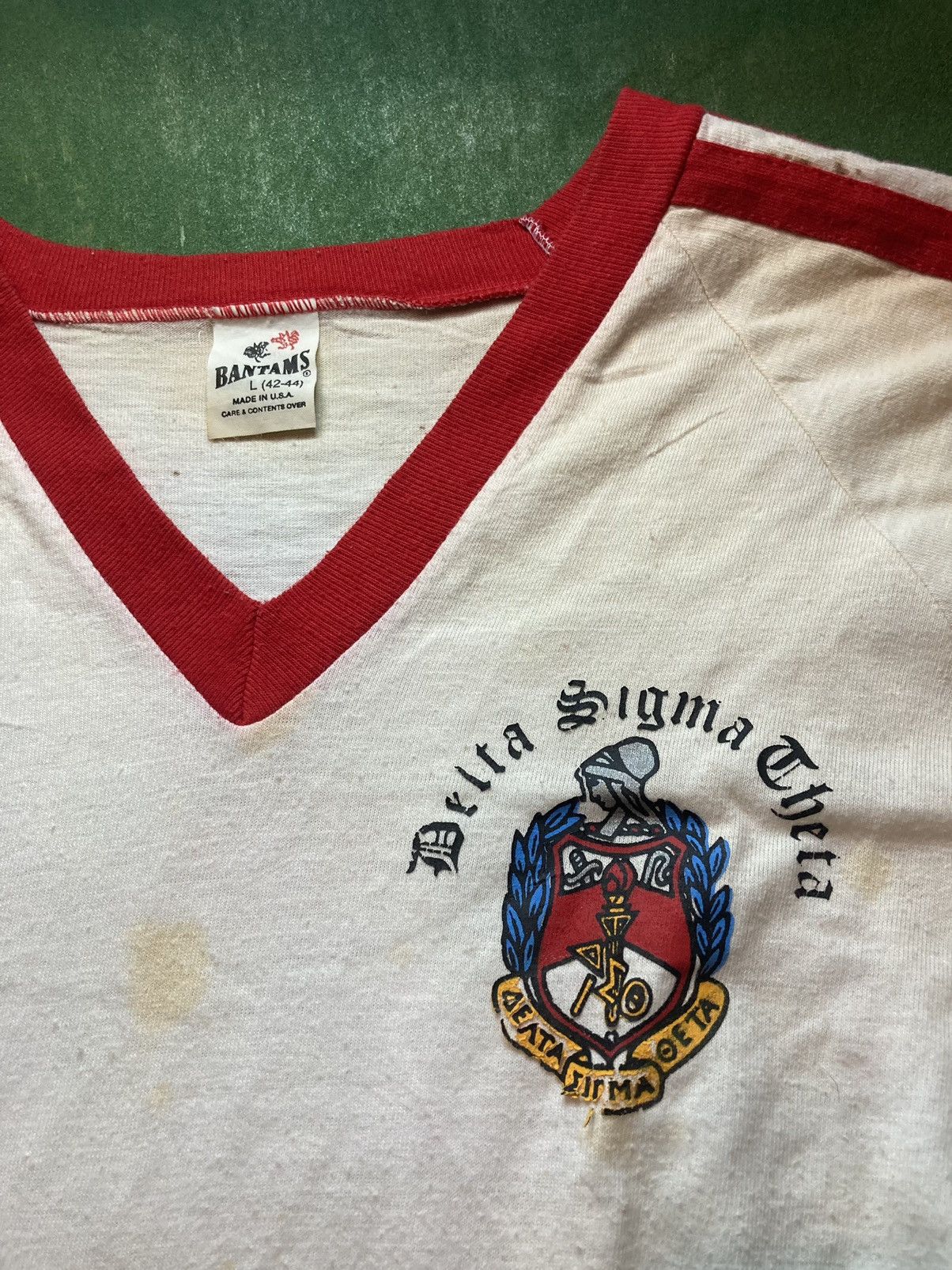 American College × Streetwear × Vintage 80s Delta Signa Theta Frat OG ...