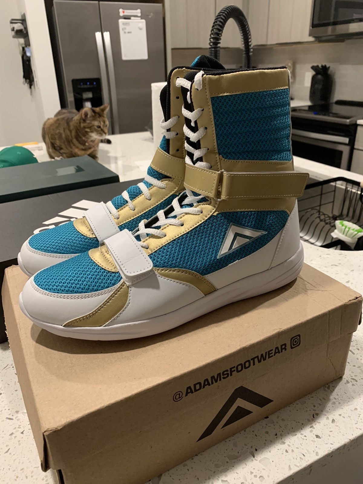 Adams Adams Boxing Shoes | Grailed